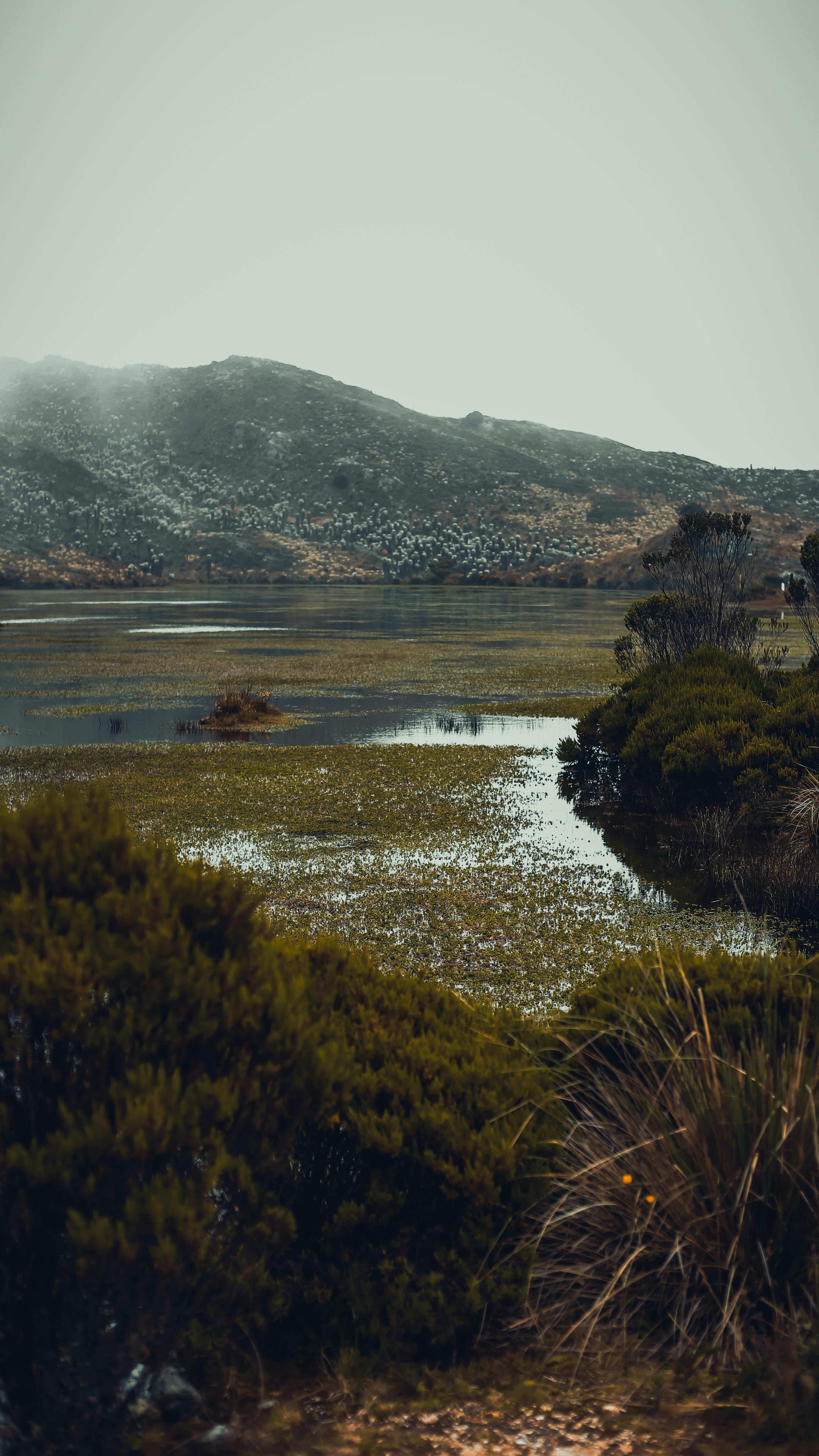 Landscape Scenery of Wetlands · Free Stock Photo