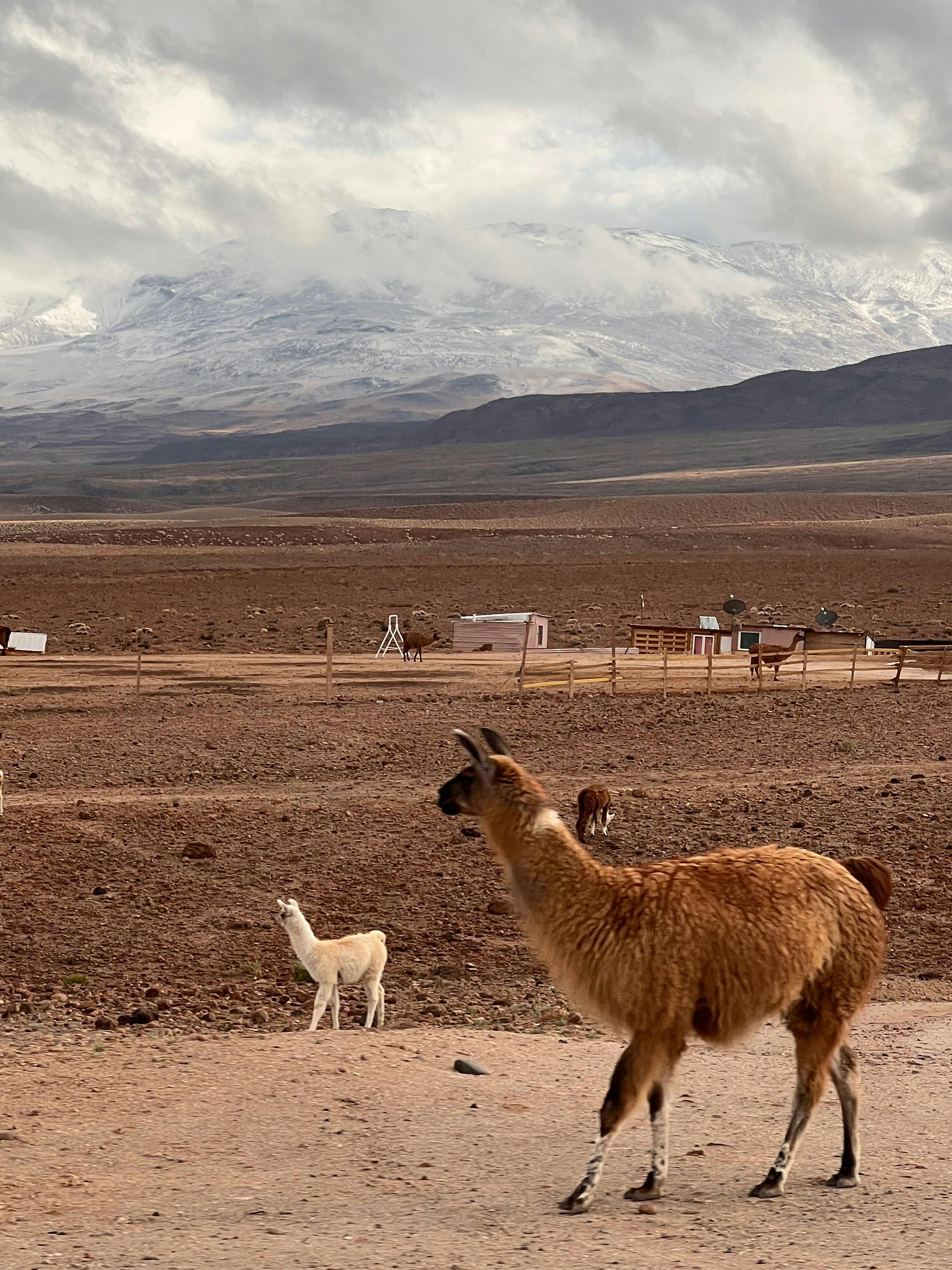 Farmland Southern Us Photos, Download The BEST Free Farmland Southern ...