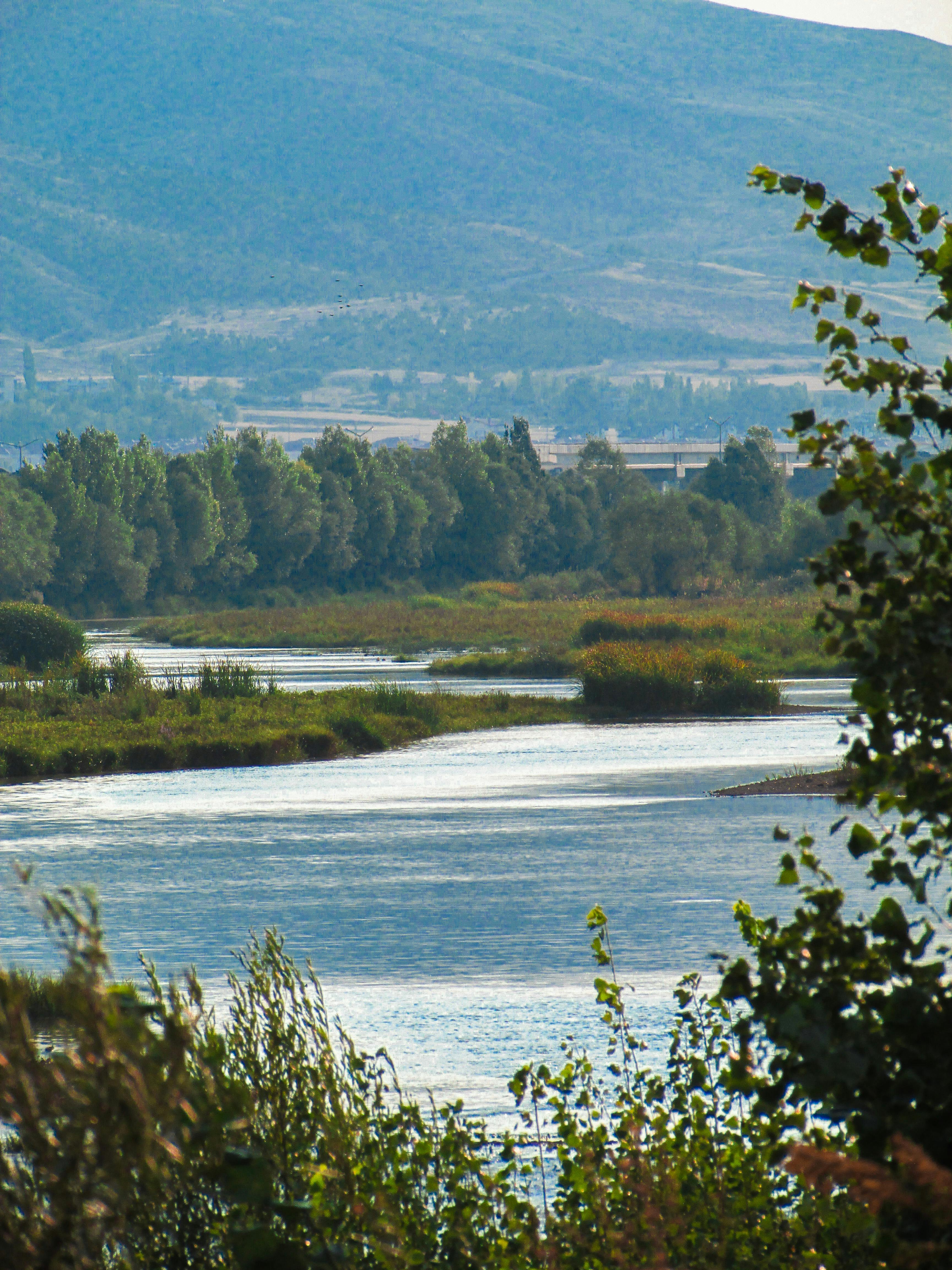 River Between Mountains and Trees · Free Stock Photo