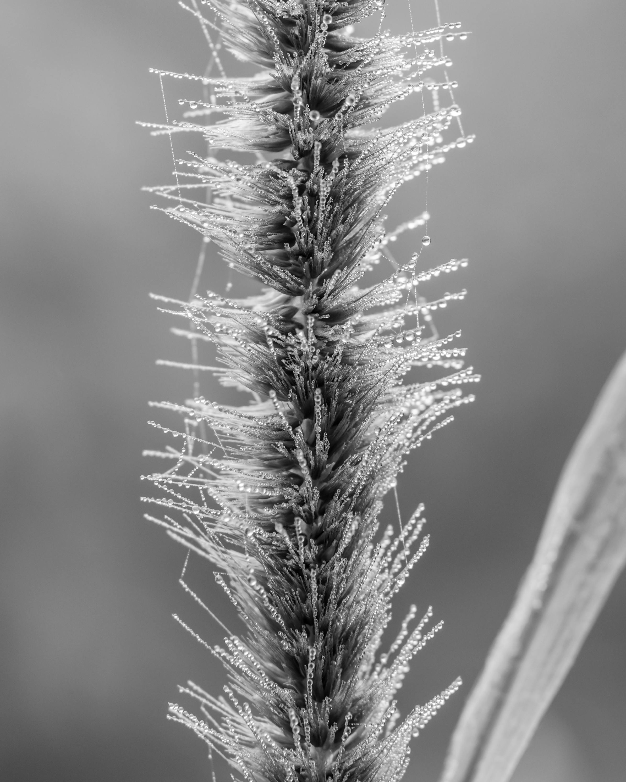 Monochromaticity Photos, Download Free Monochromaticity Stock Photos ...