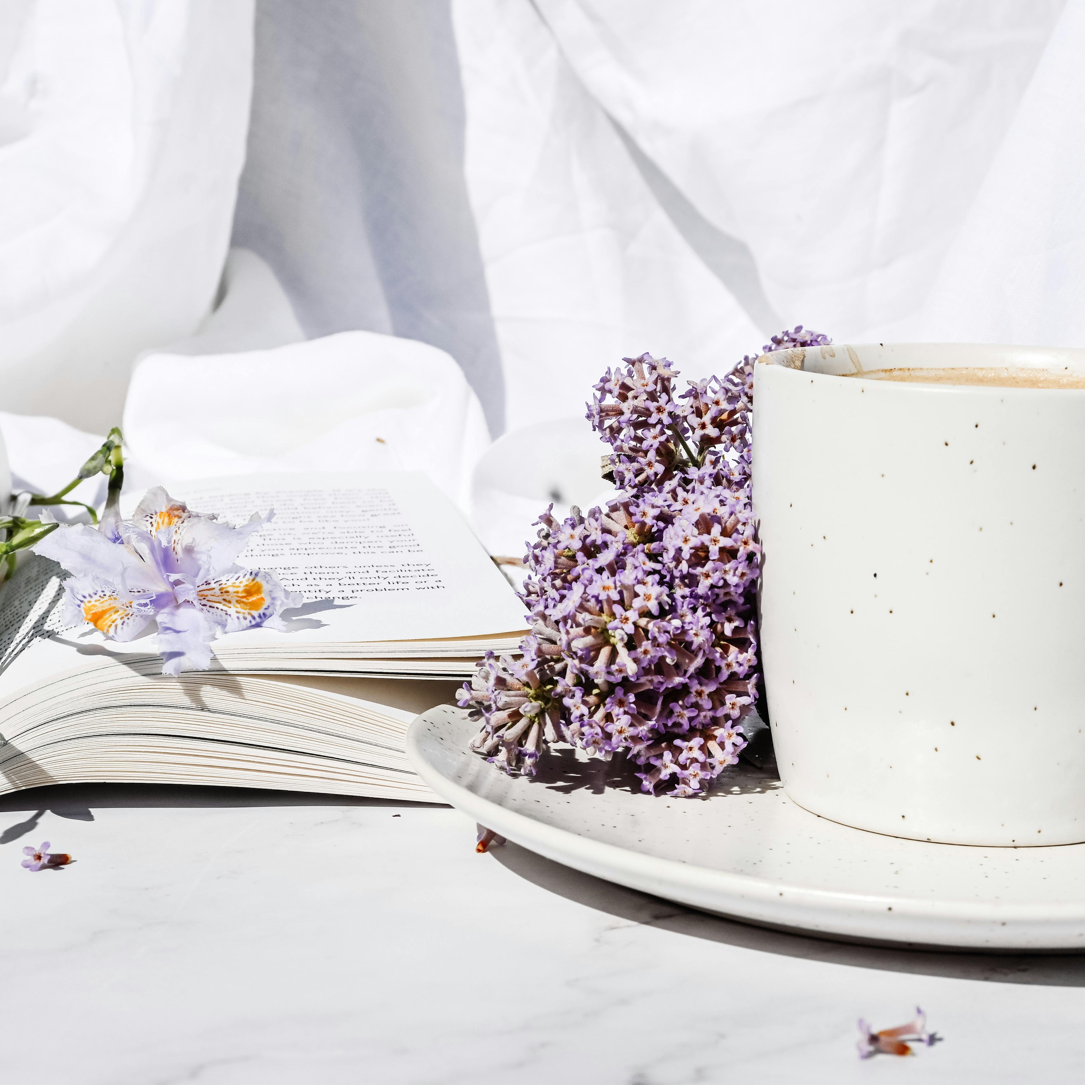 White Cup on Ceramic Plate · Free Stock Photo