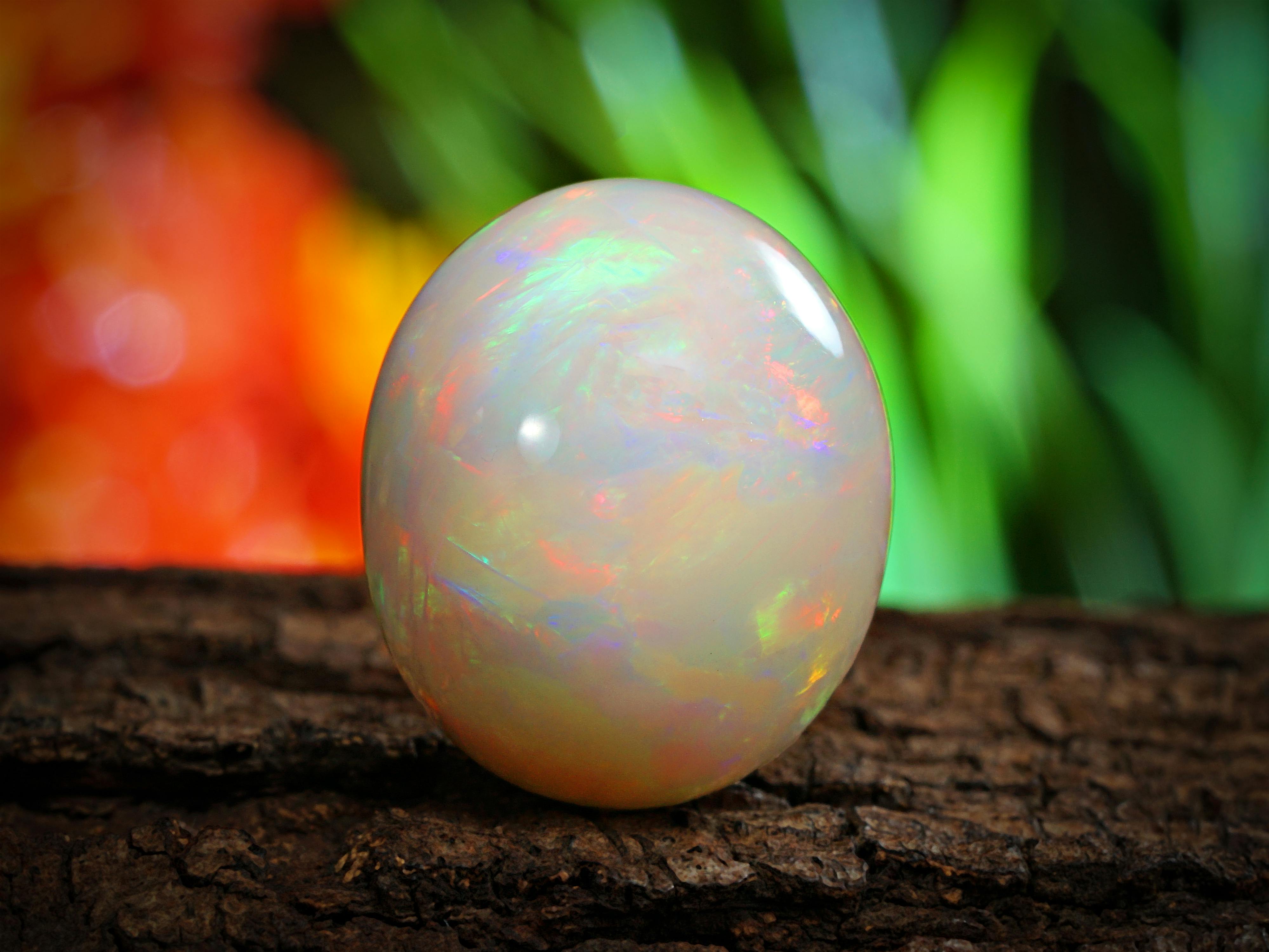 Abdul Matloob - Photography