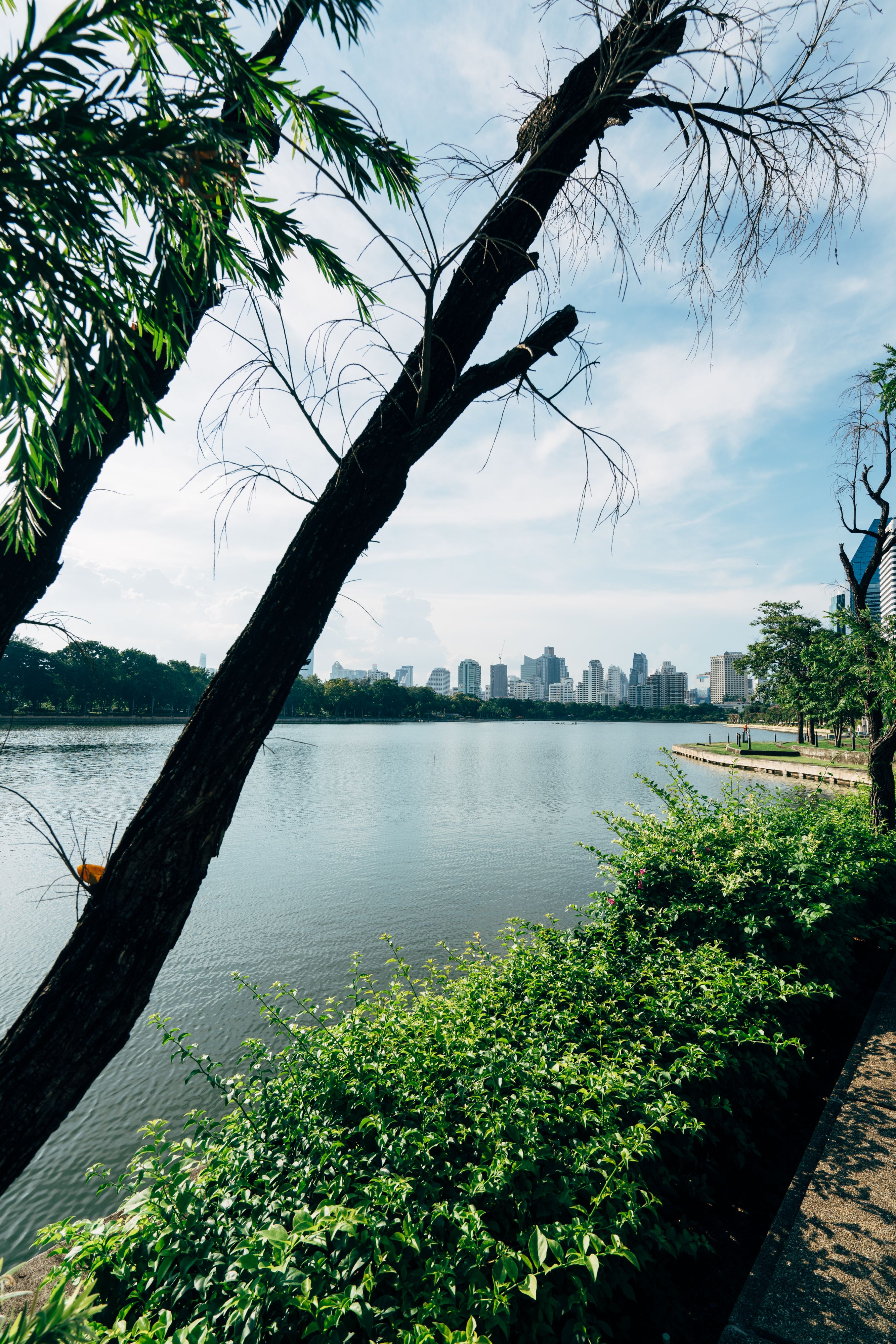 Skyline And Nature Photos, Download The BEST Free Skyline And Nature ...