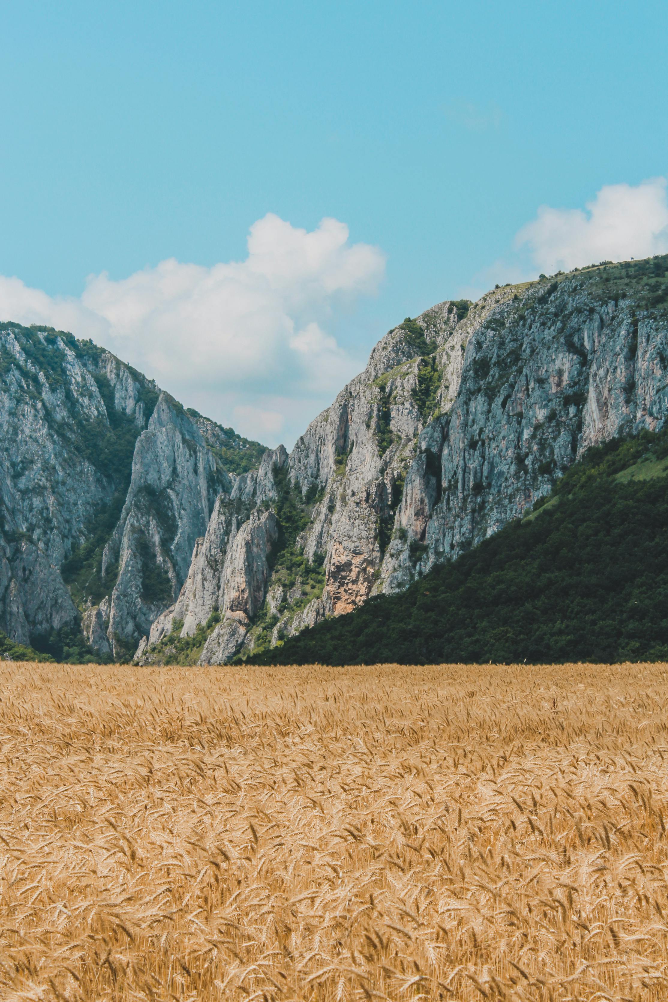 Gray Rocky Mountains Near Brown Field Under Blue Sky · Free Stock Photo