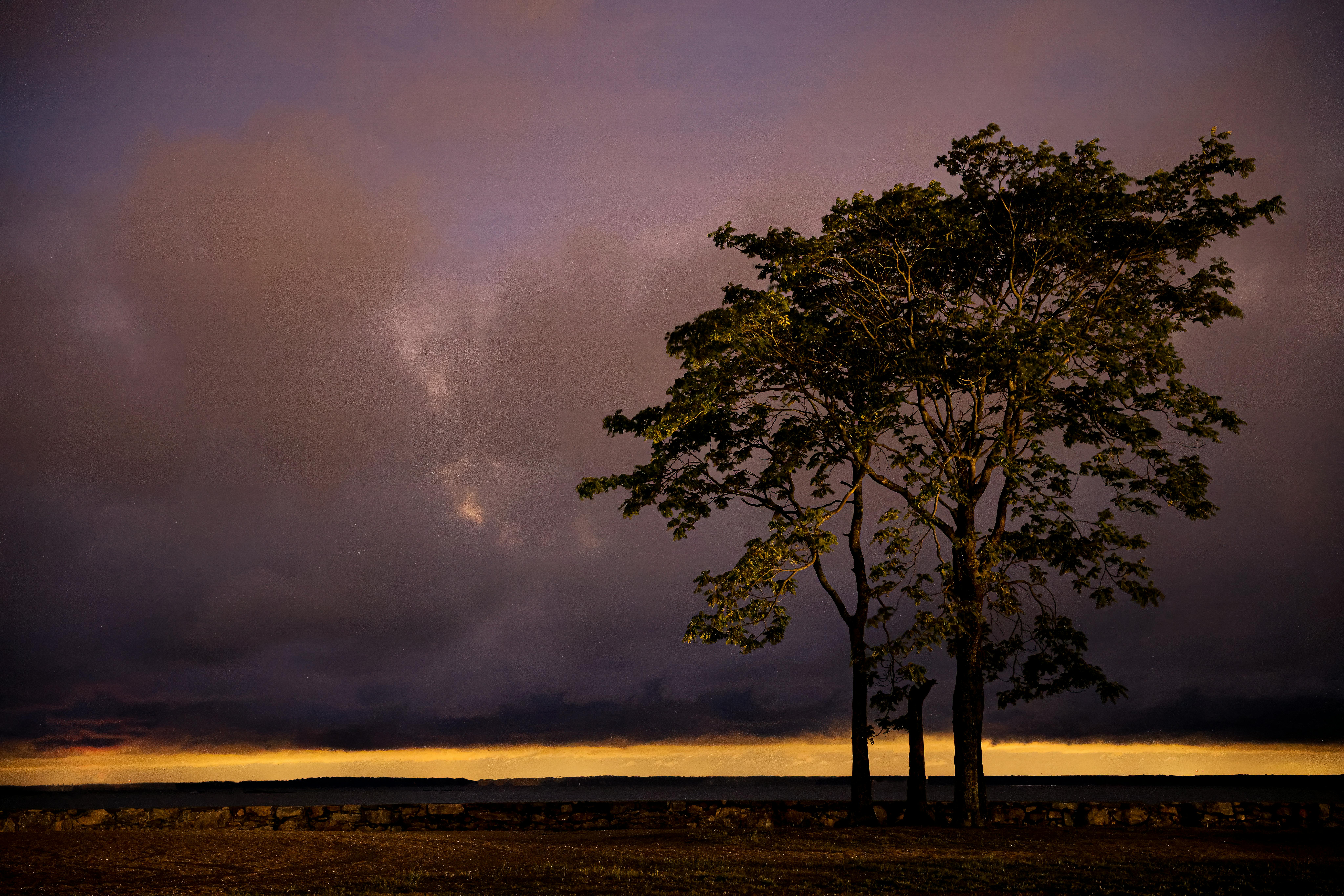 A Tree on Brown Field Under Evening Sky · Free Stock Photo