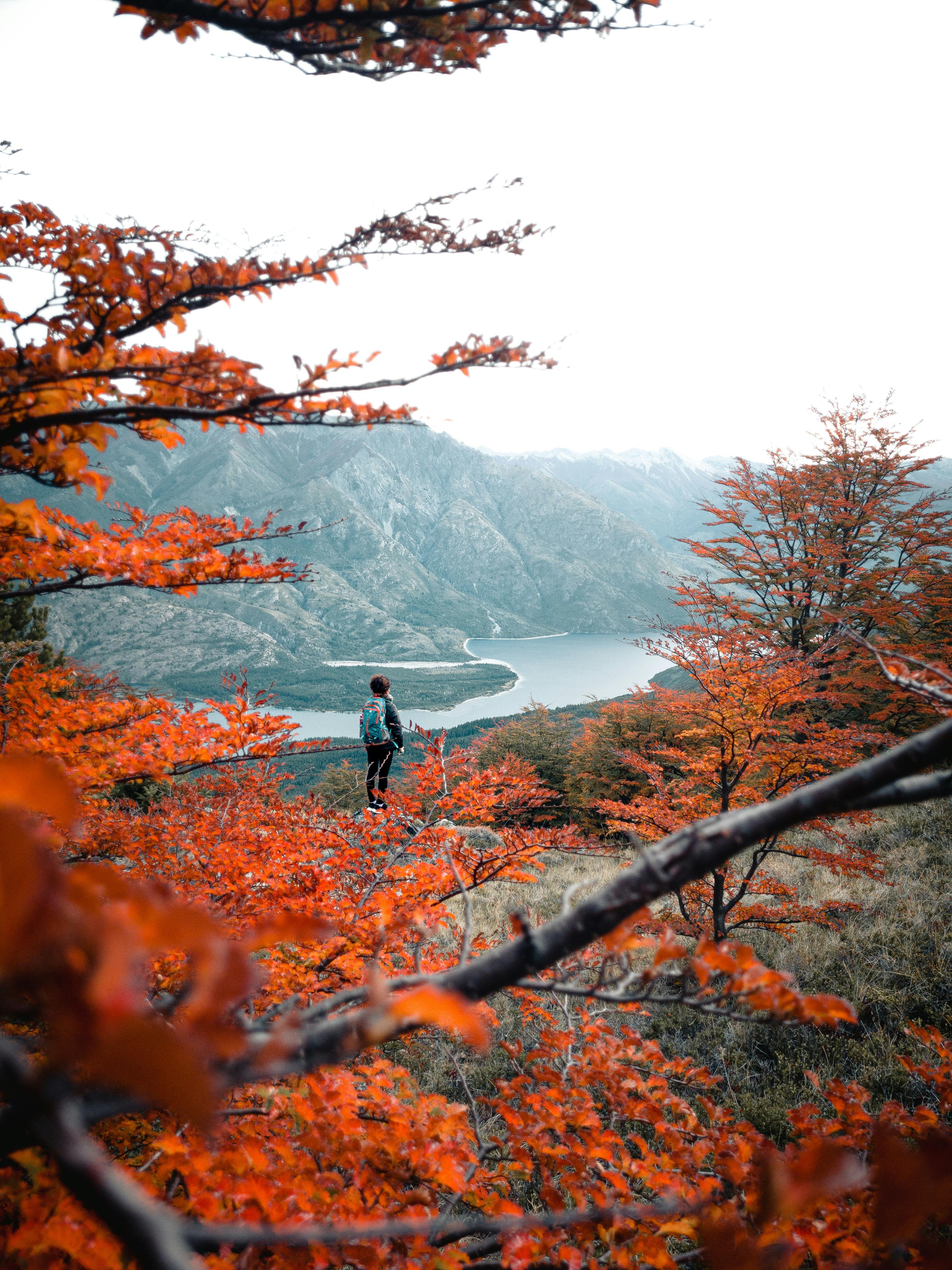 Autumn Mountain View · Free Stock Photo