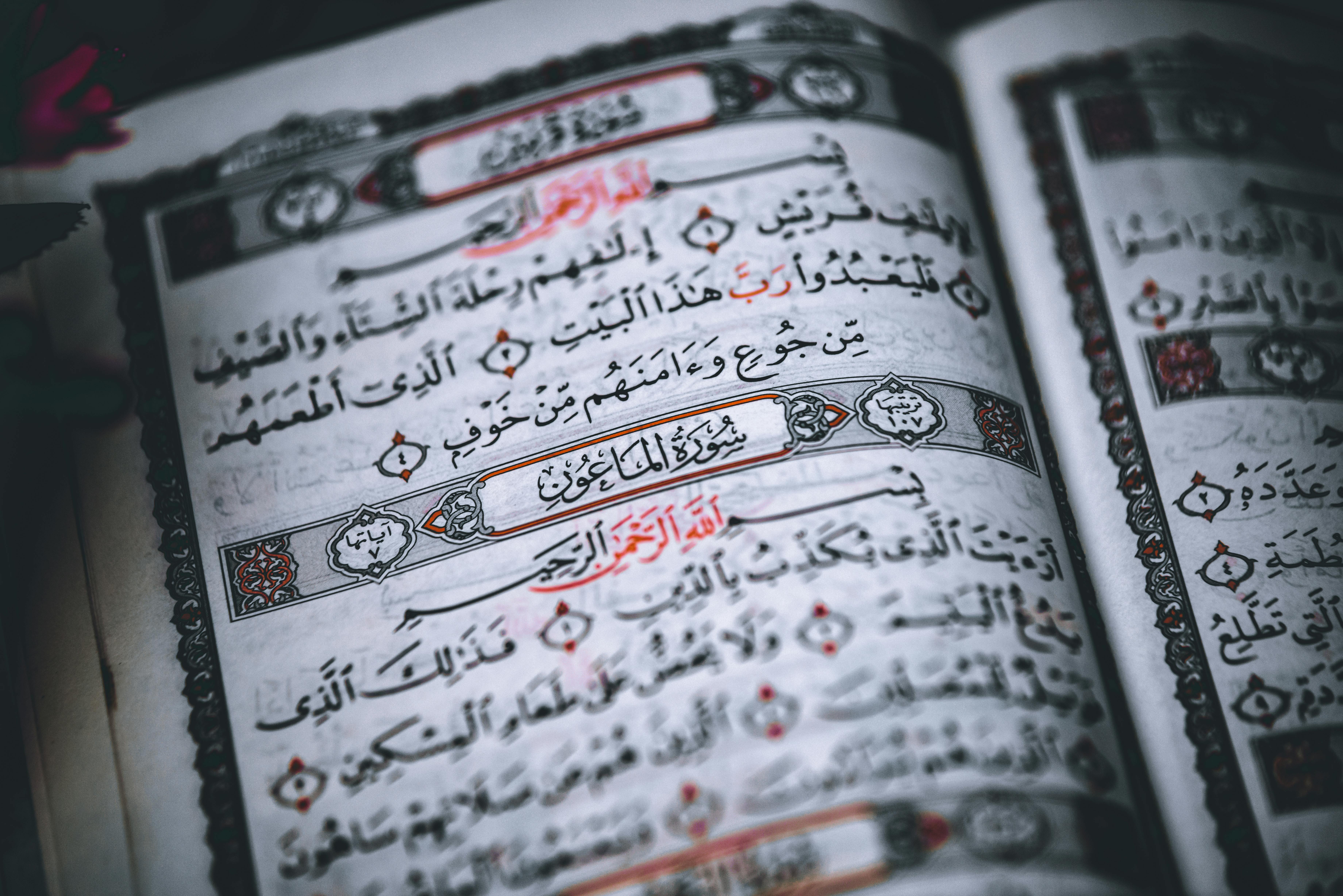 Arabic Writing in a Book · Free Stock Photo
