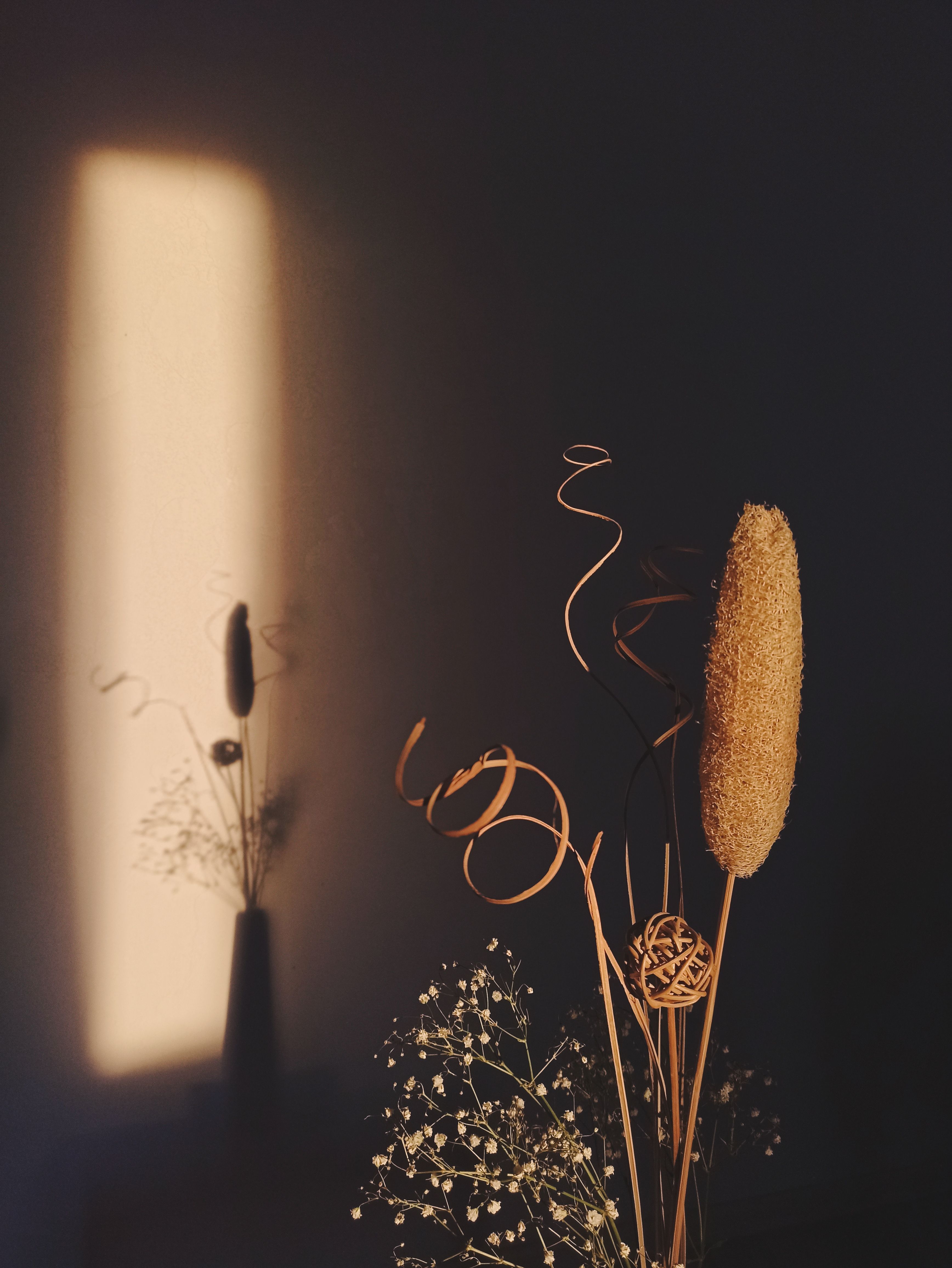 Flowers Wall Shadows Photos, Download The BEST Free Flowers Wall ...