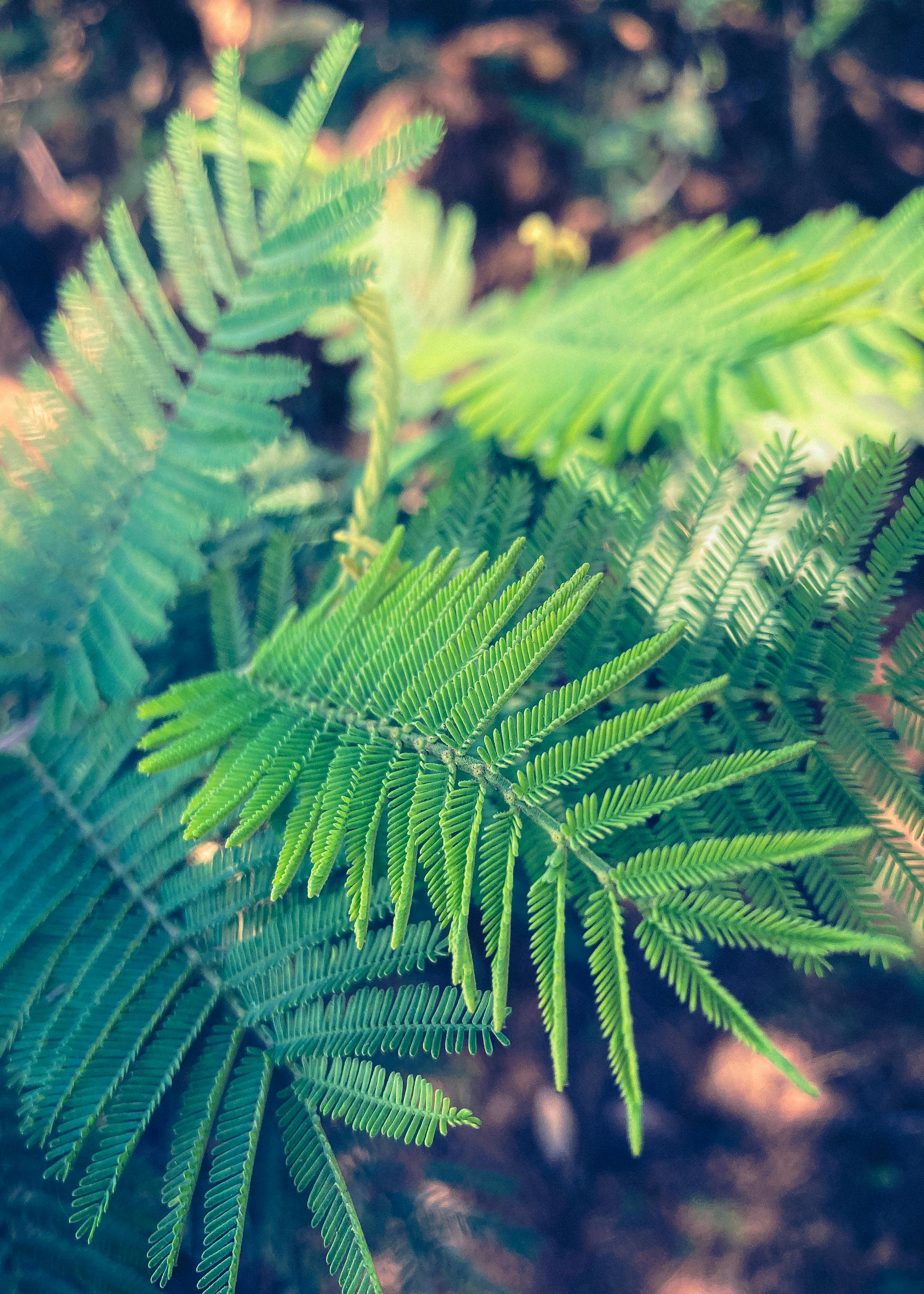 Auris Studio - Fotografía