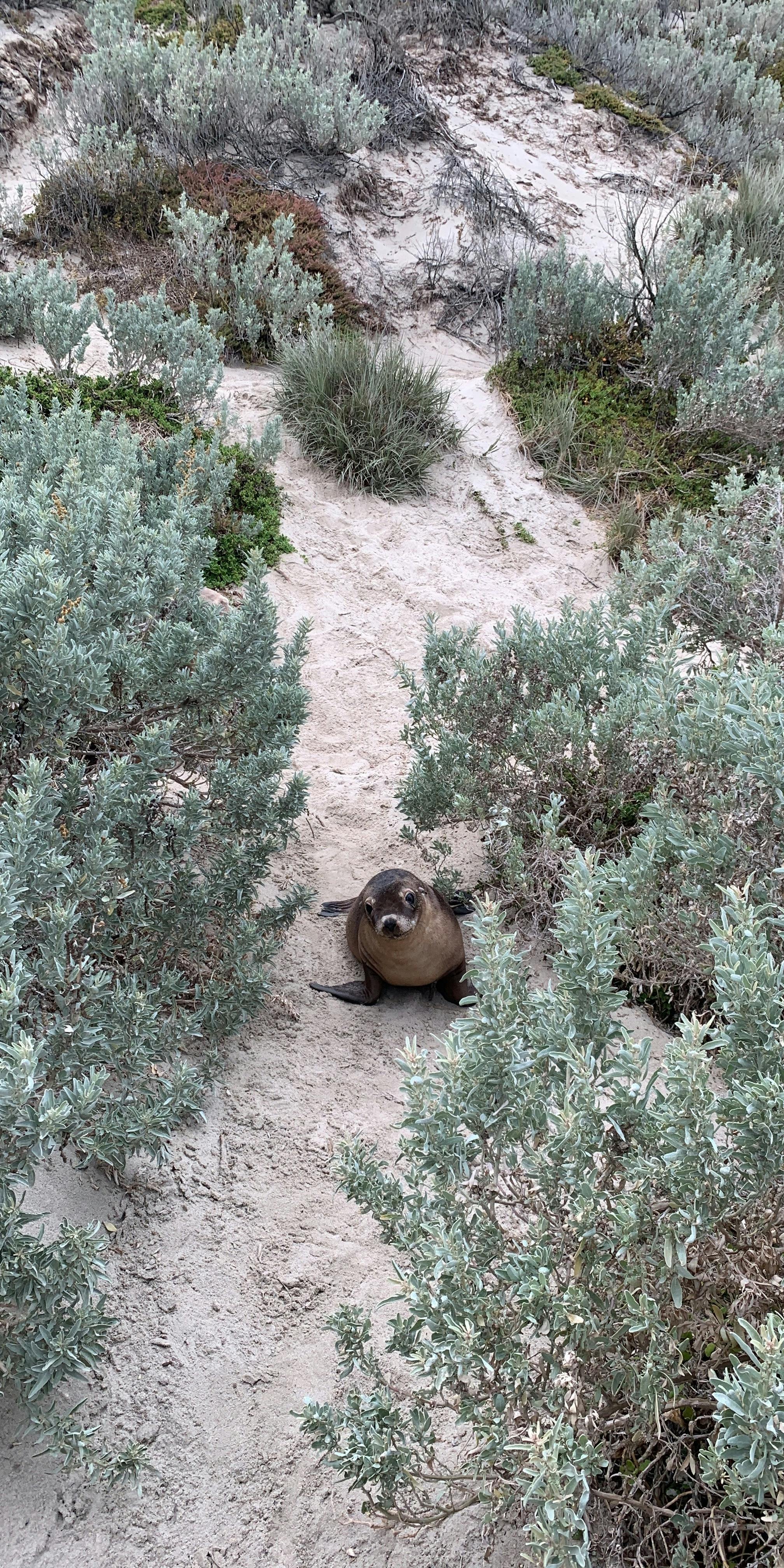 Timothy George - Photographie