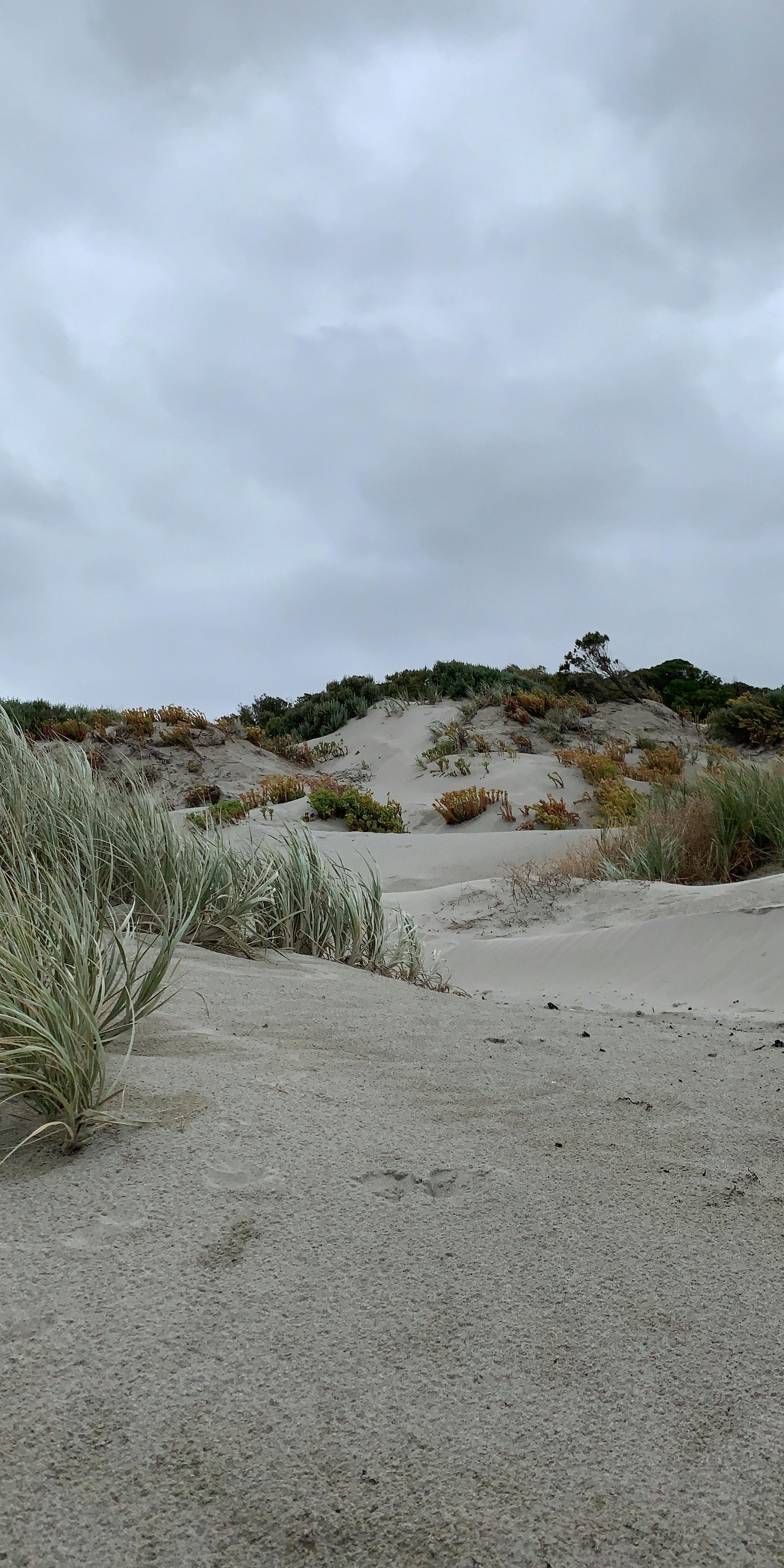 Timothy George – Fotografia