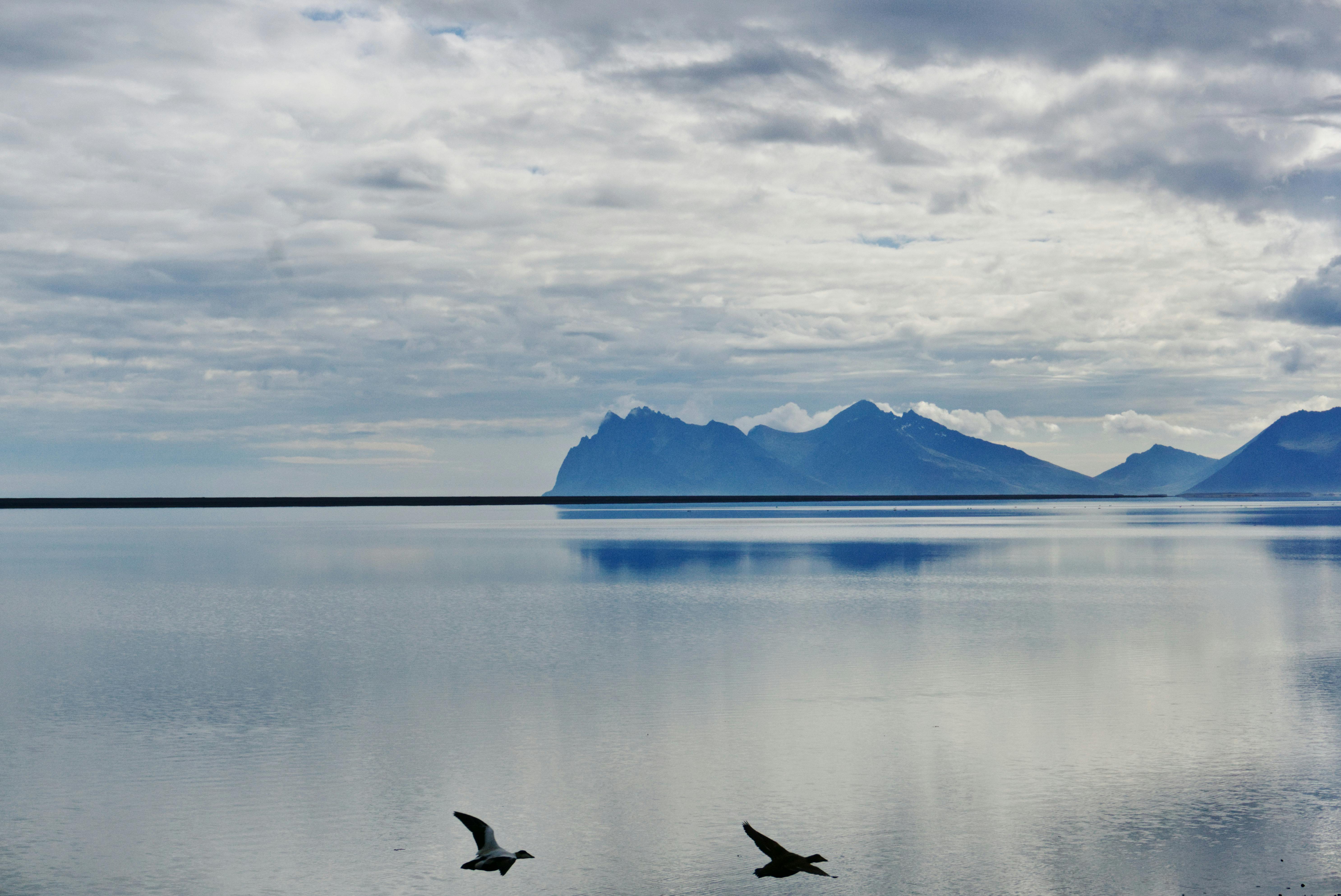 Hellisheidi Geothermal Power Plant on Grass Field Under a Cloudy Sky ...