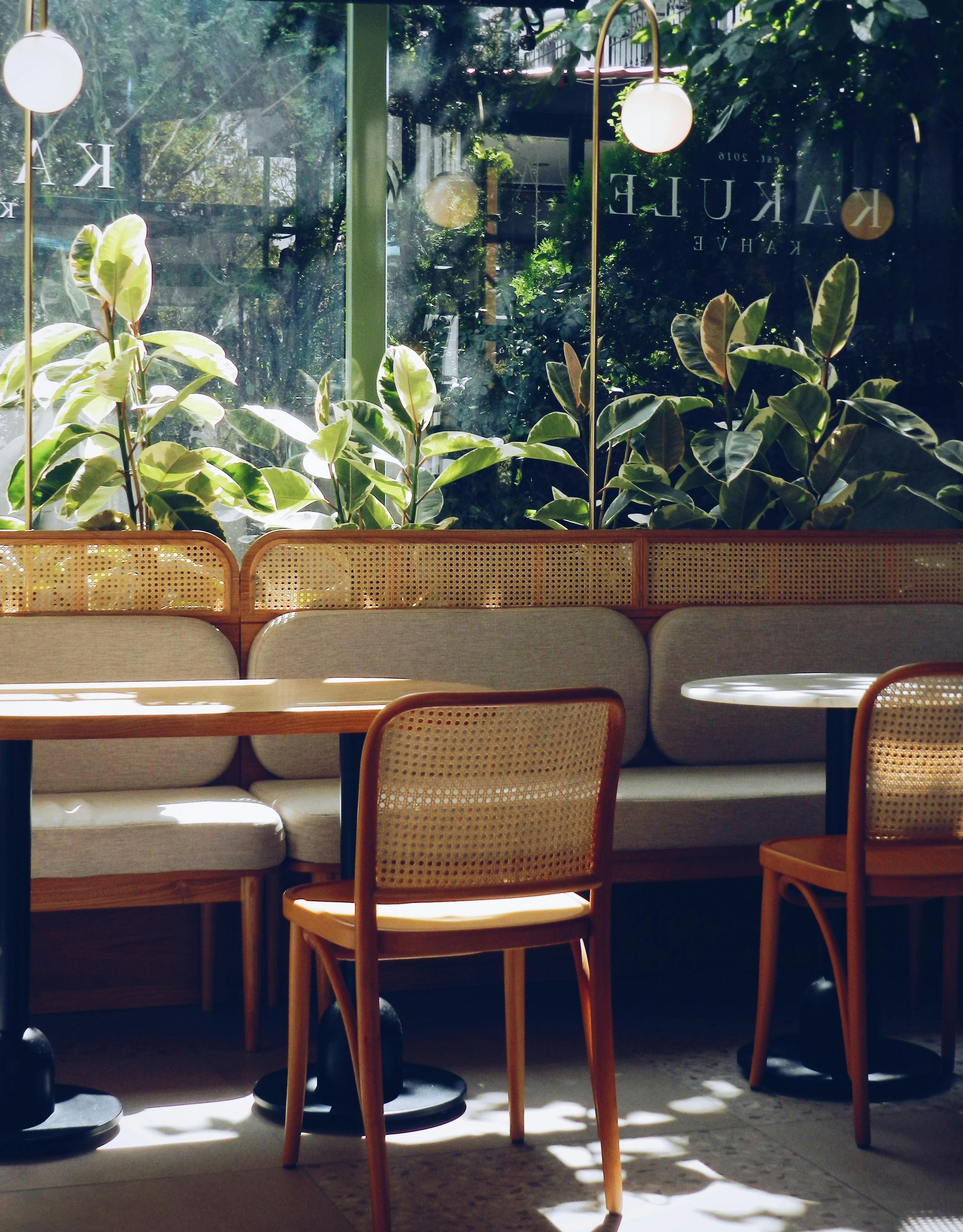 Interior of a Cafe · Free Stock Photo