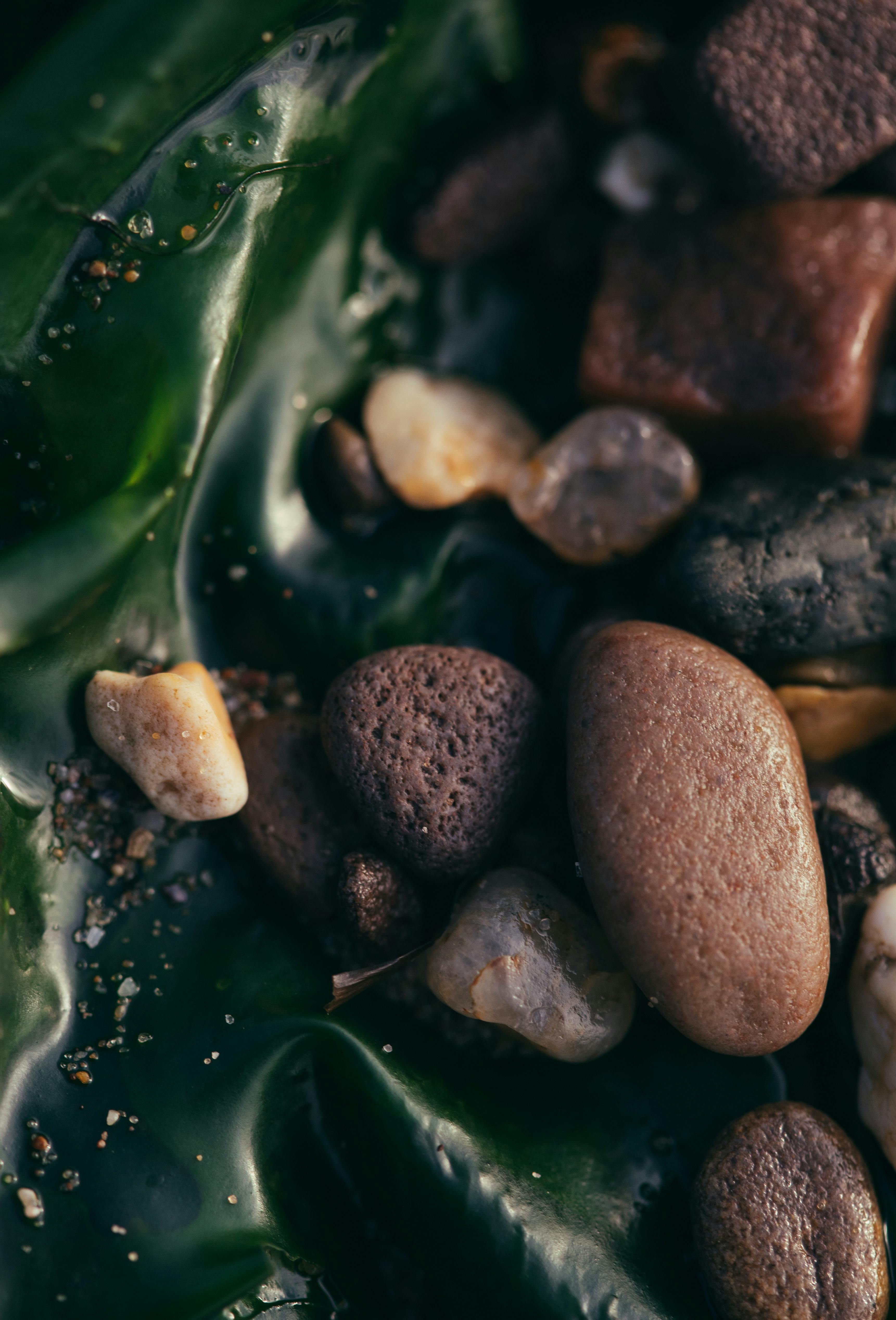 Brown and Gray Rocks on River · Free Stock Photo