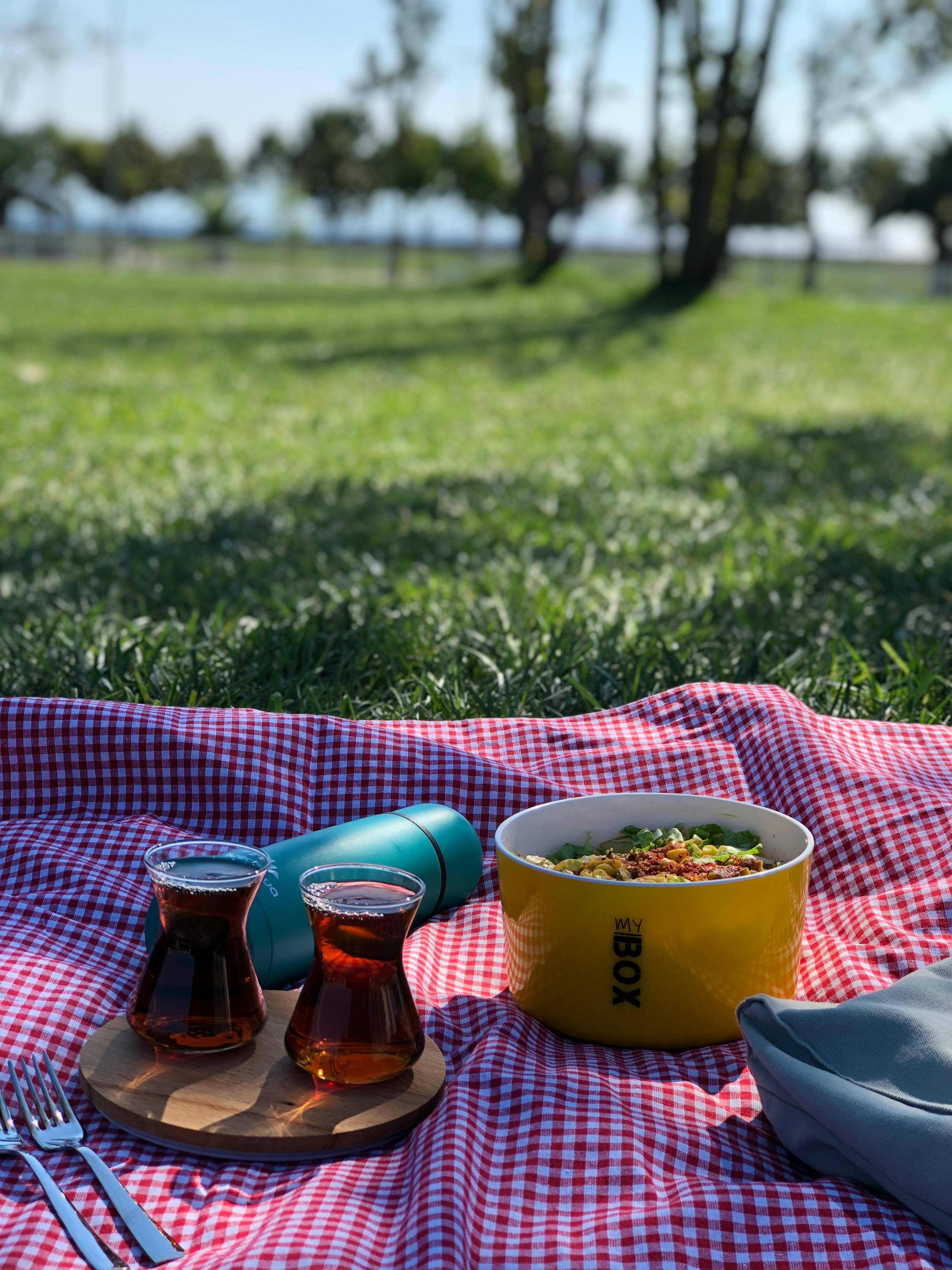 Photo of a Picnic Set Up · Free Stock Photo