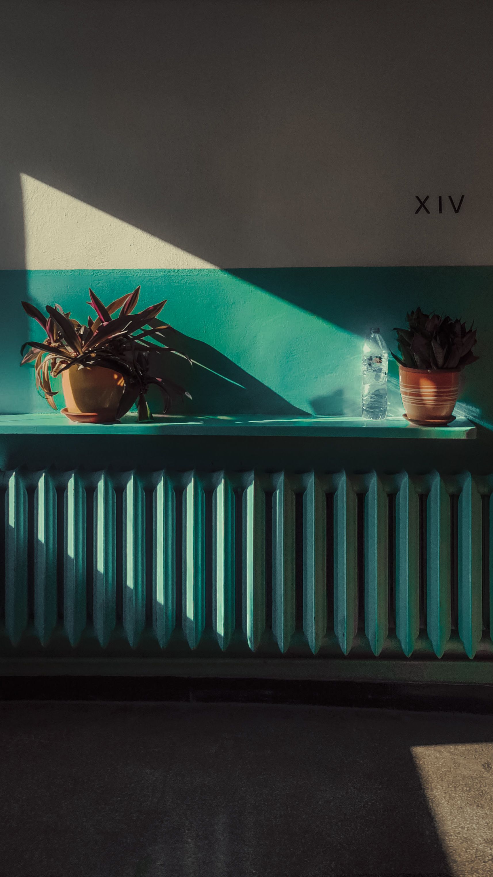 Milan Mathew - Fotografía