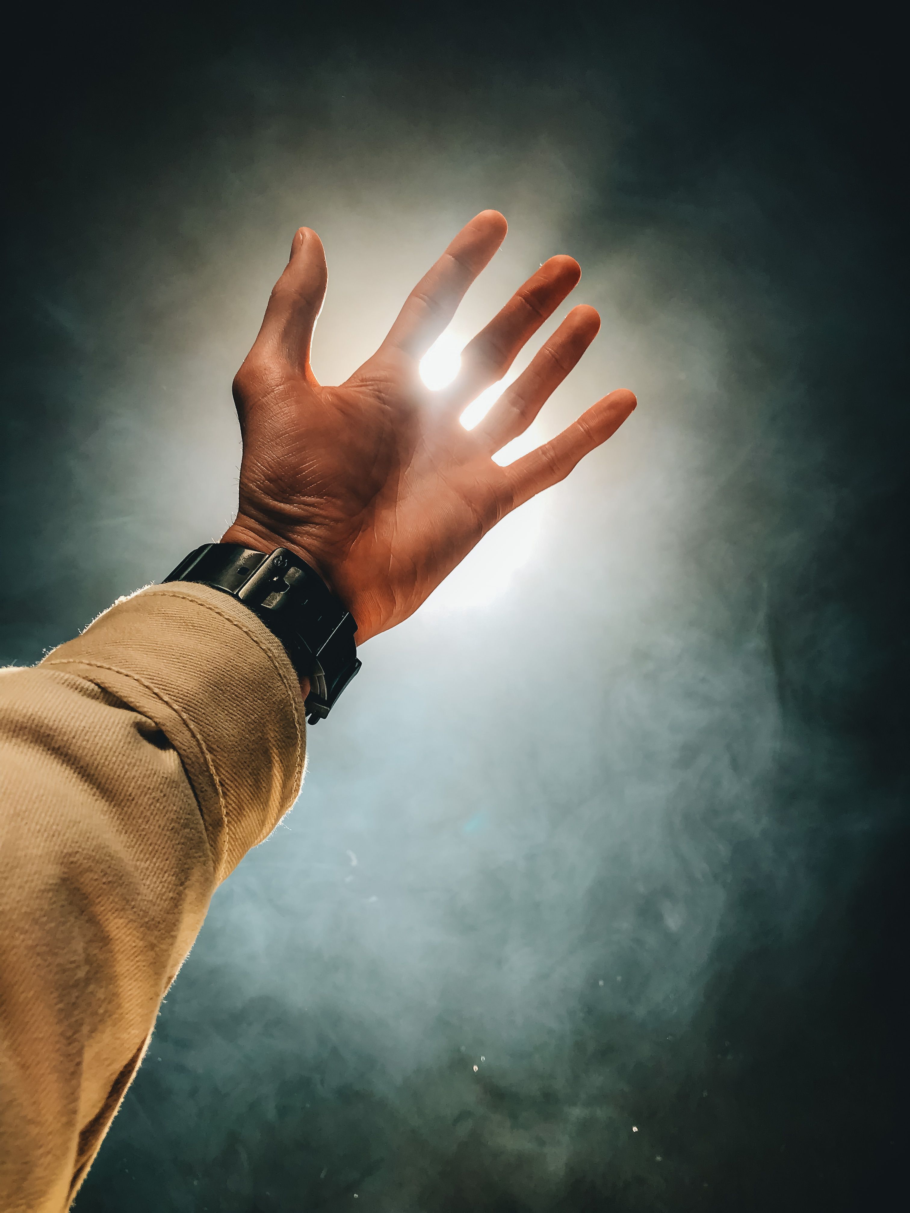 Close-Up Shot of a Person's Hand · Free Stock Photo