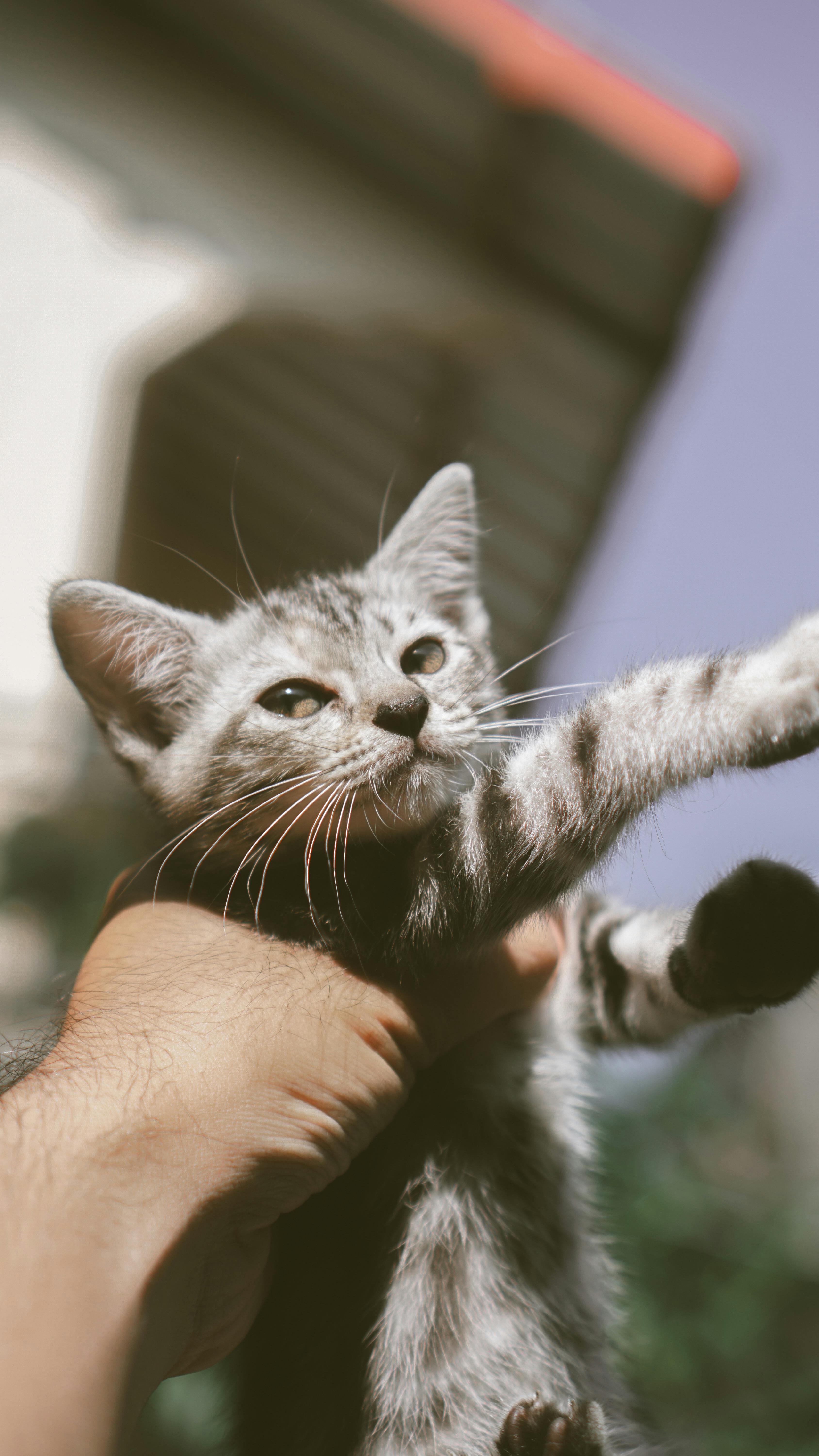 Saddam Umar Husain - Photography