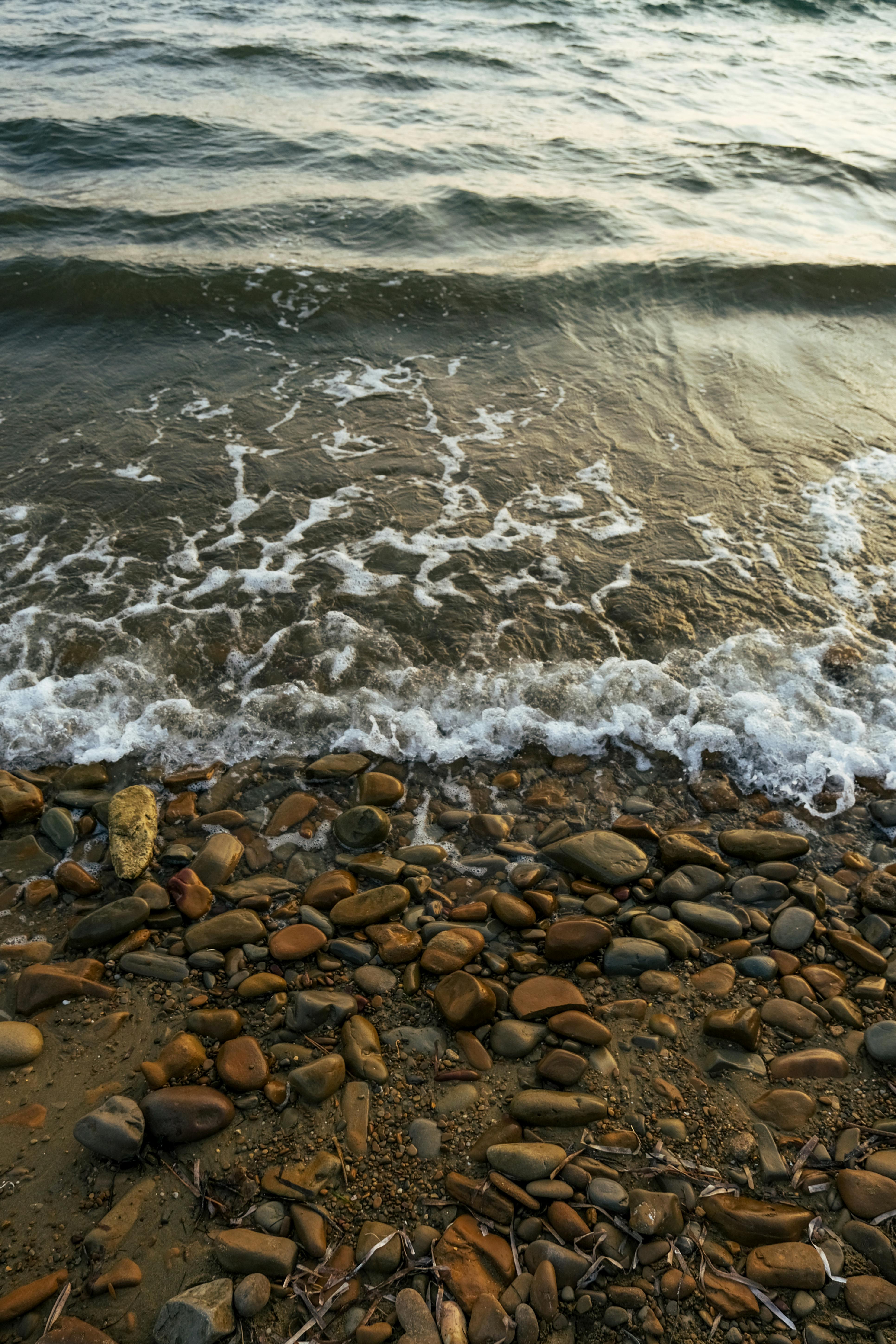 Water on the Shore · Free Stock Photo
