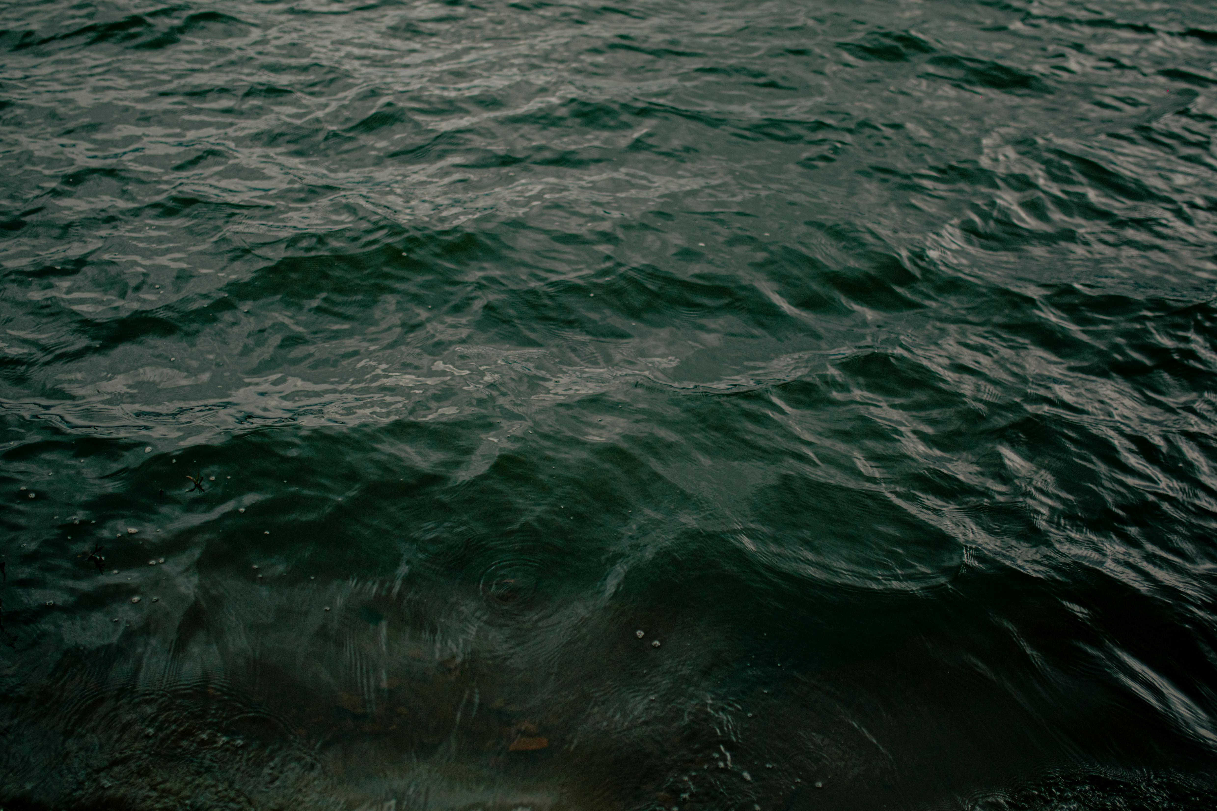 Seawater in Close Up Photography · Free Stock Photo