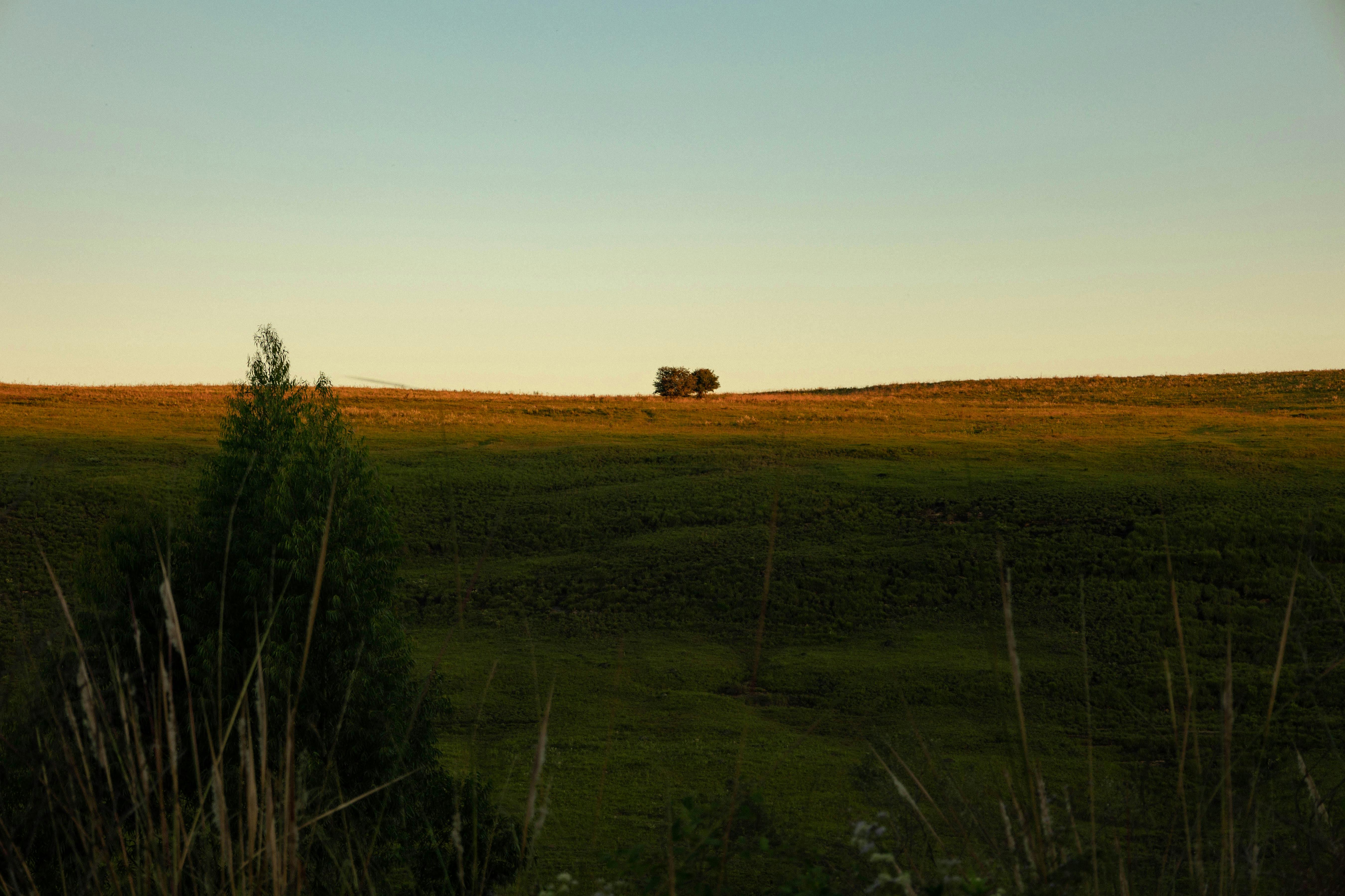 Colourfull Evening Photos, Download The BEST Free Colourfull Evening ...