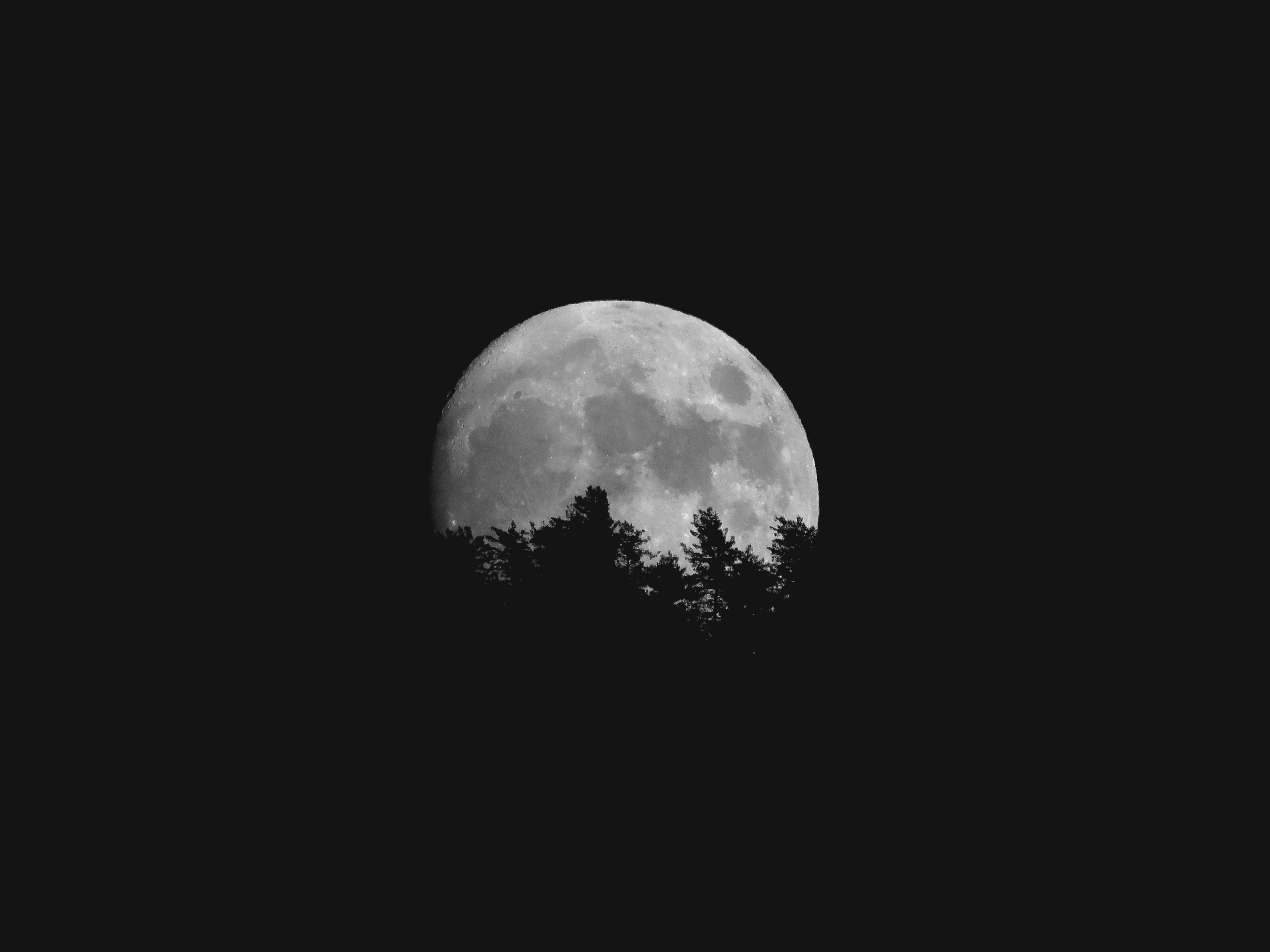 Grayscale Photo of Moon during Night Time · Free Stock Photo