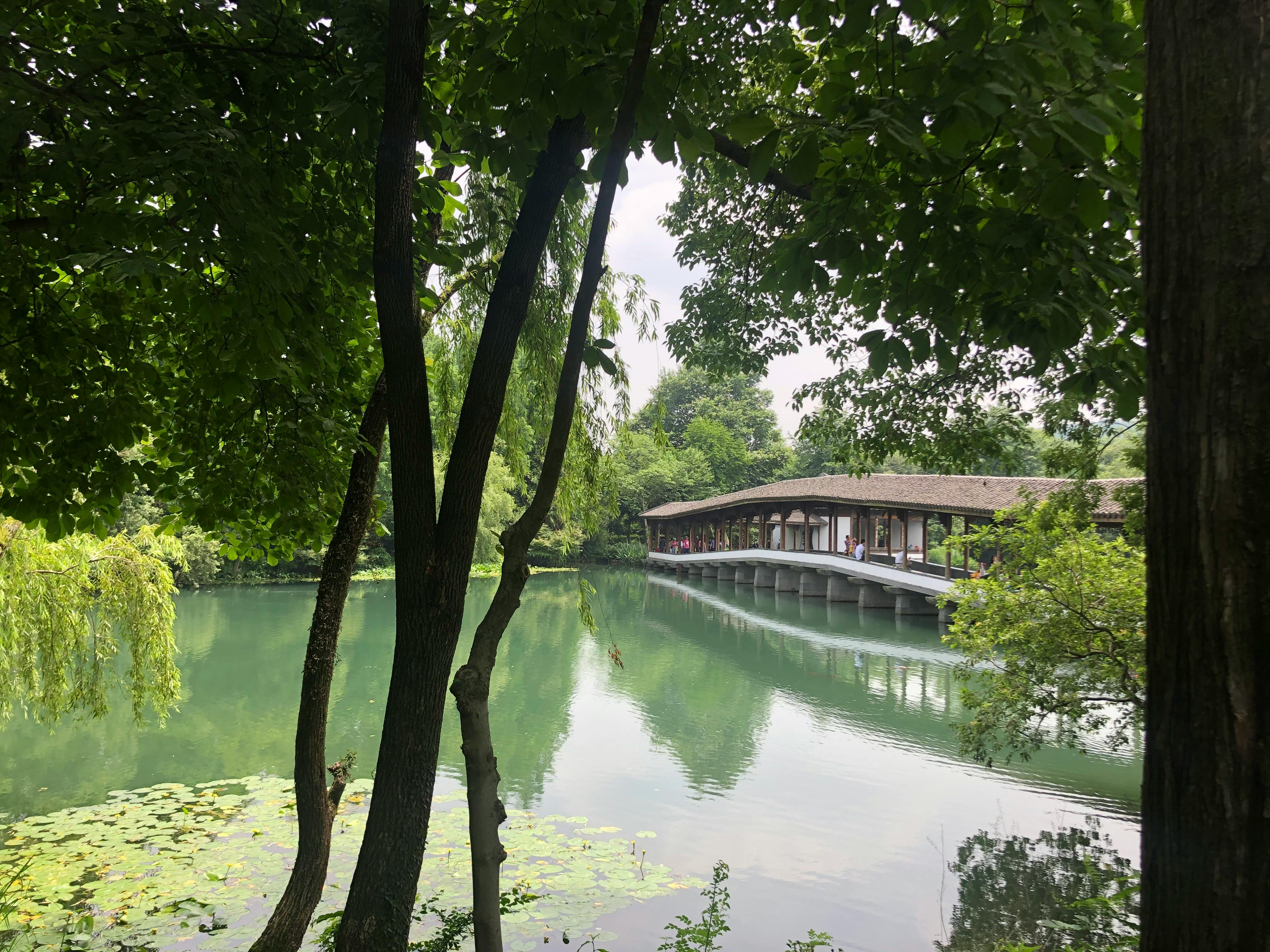 David Lu - Photography