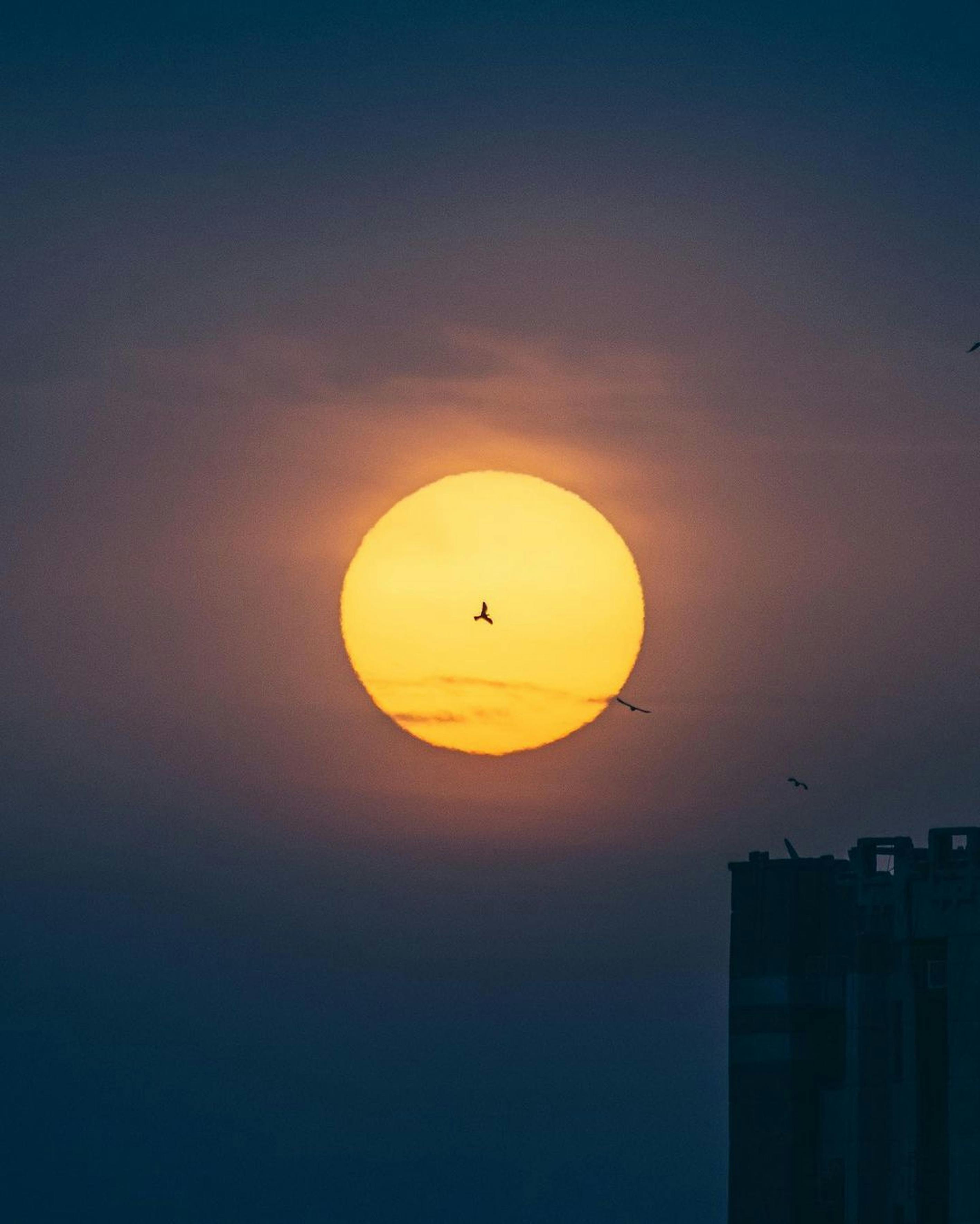 Close-up of the Sun at Sunset · Free Stock Photo