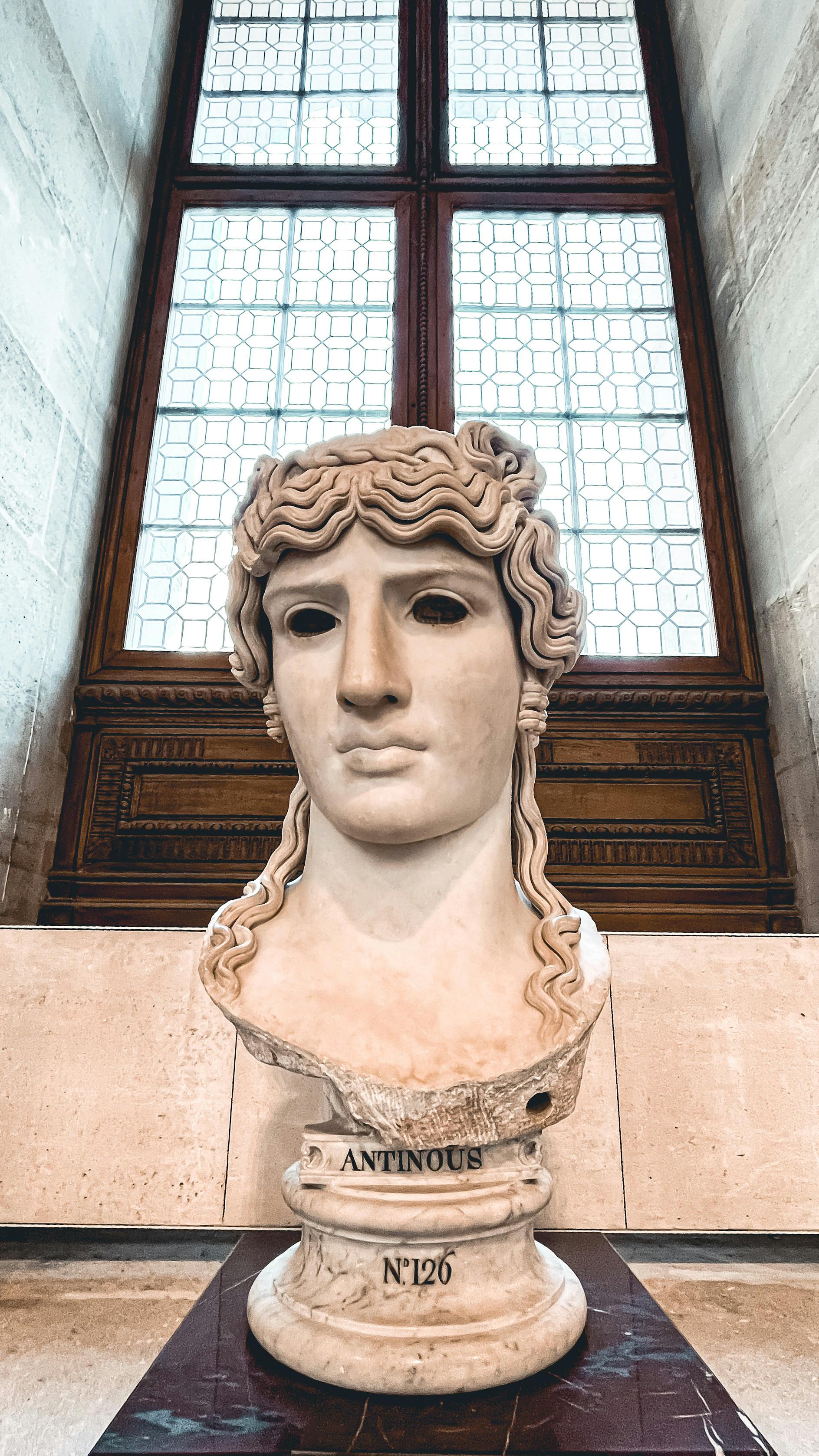 Antinous Mondragone Sculpture in a Museum · Free Stock Photo