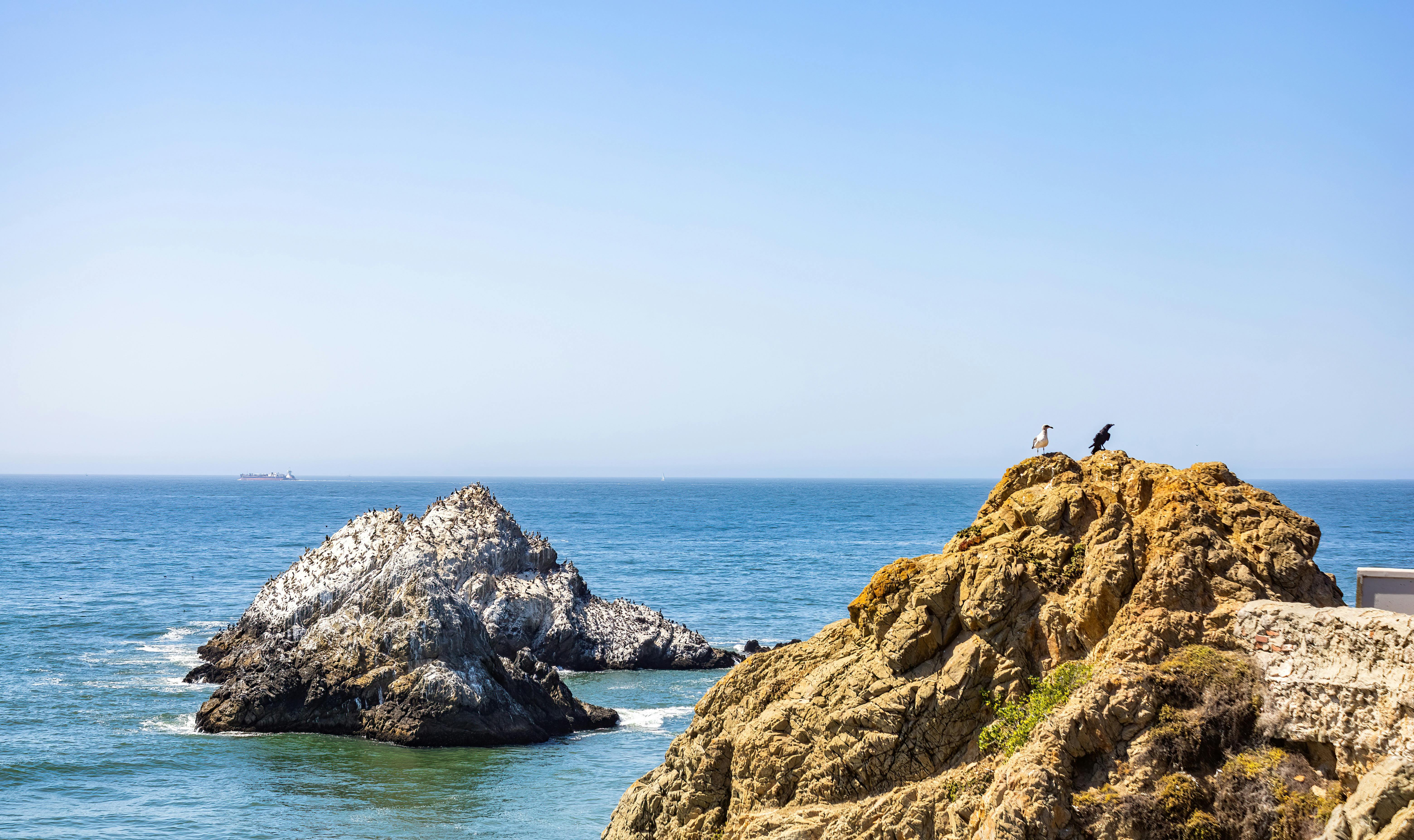 Brown and Gray Rock Formations on Ocean · Free Stock Photo