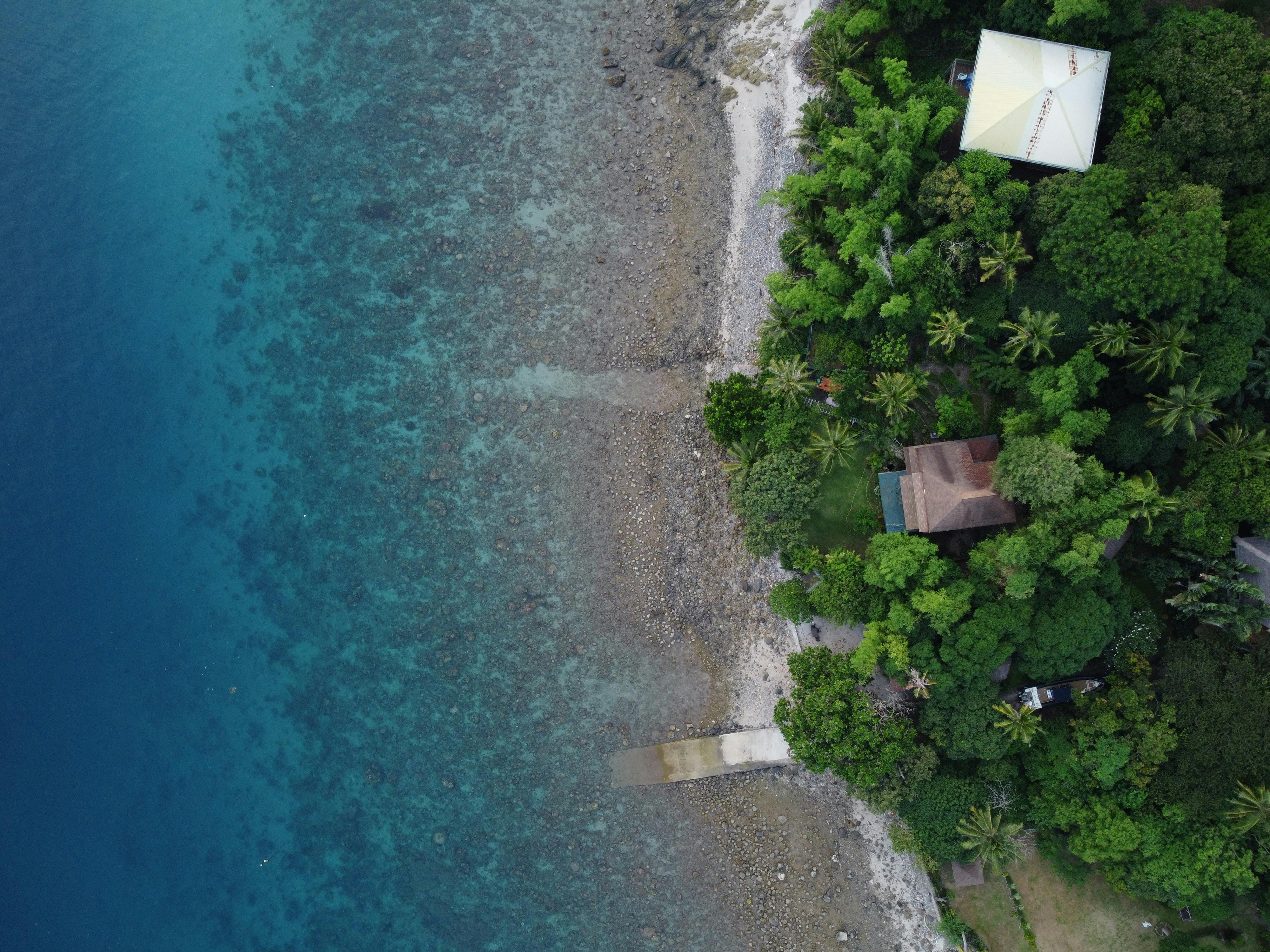 Top View of an Island Full of Green Trees · Free Stock Photo