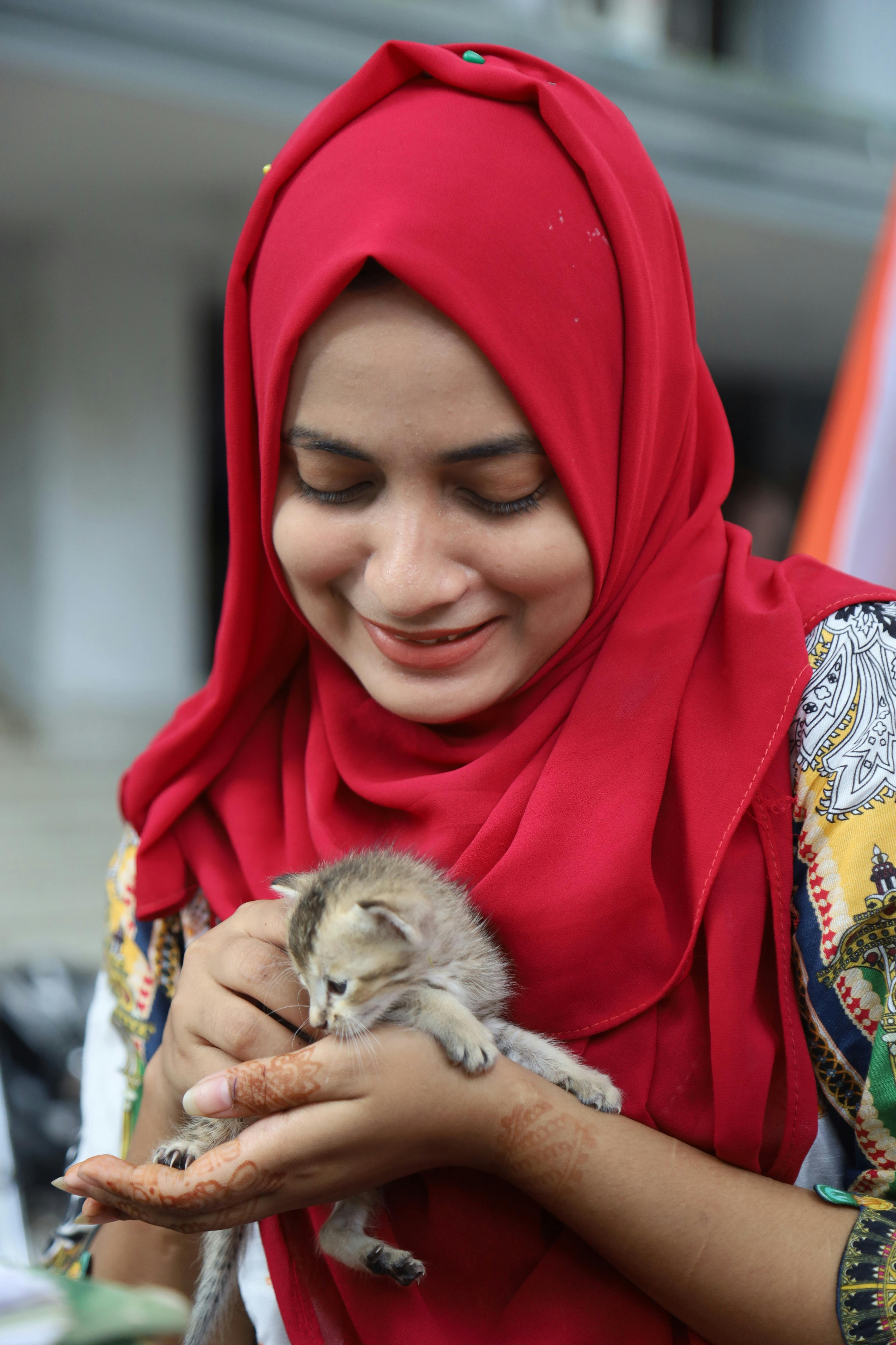 Muslim Cat Photos, Download The BEST Free Muslim Cat Stock Photos & HD ...