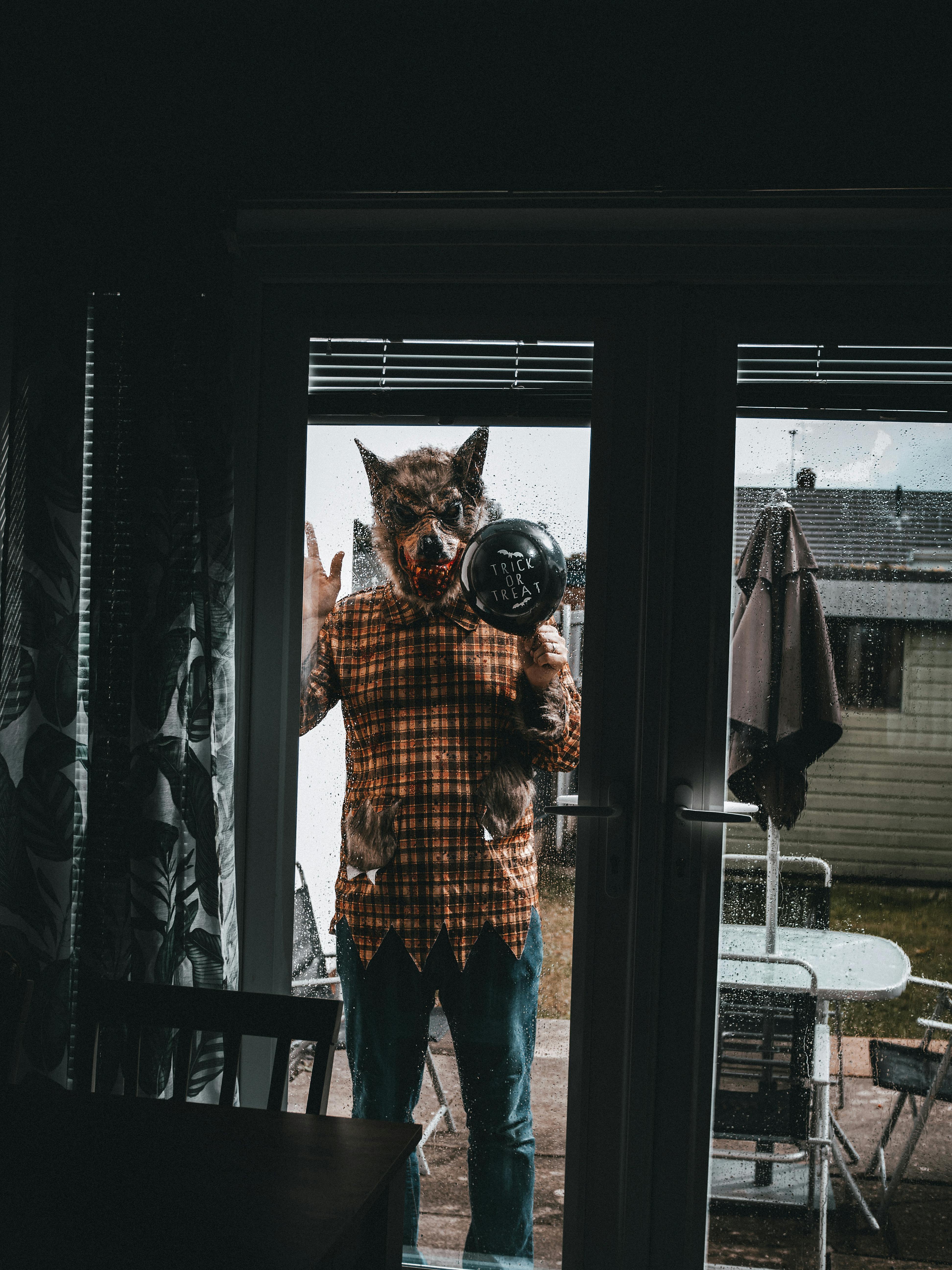 Werewolf At Night Photos, Download The BEST Free Werewolf At Night ...