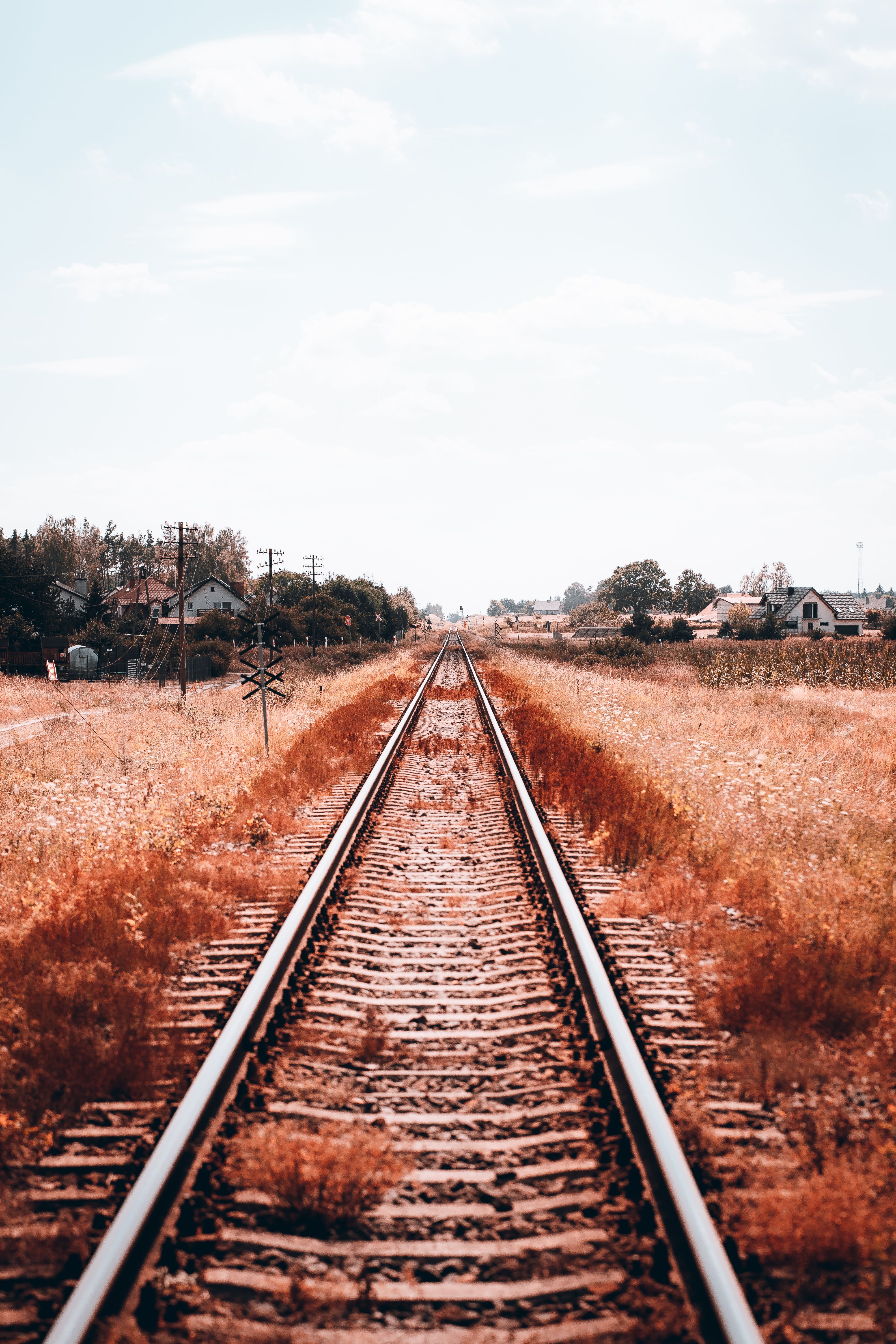 Man Holding Maple Leaf In The Middle Of Train Tracks During Day · Free ...