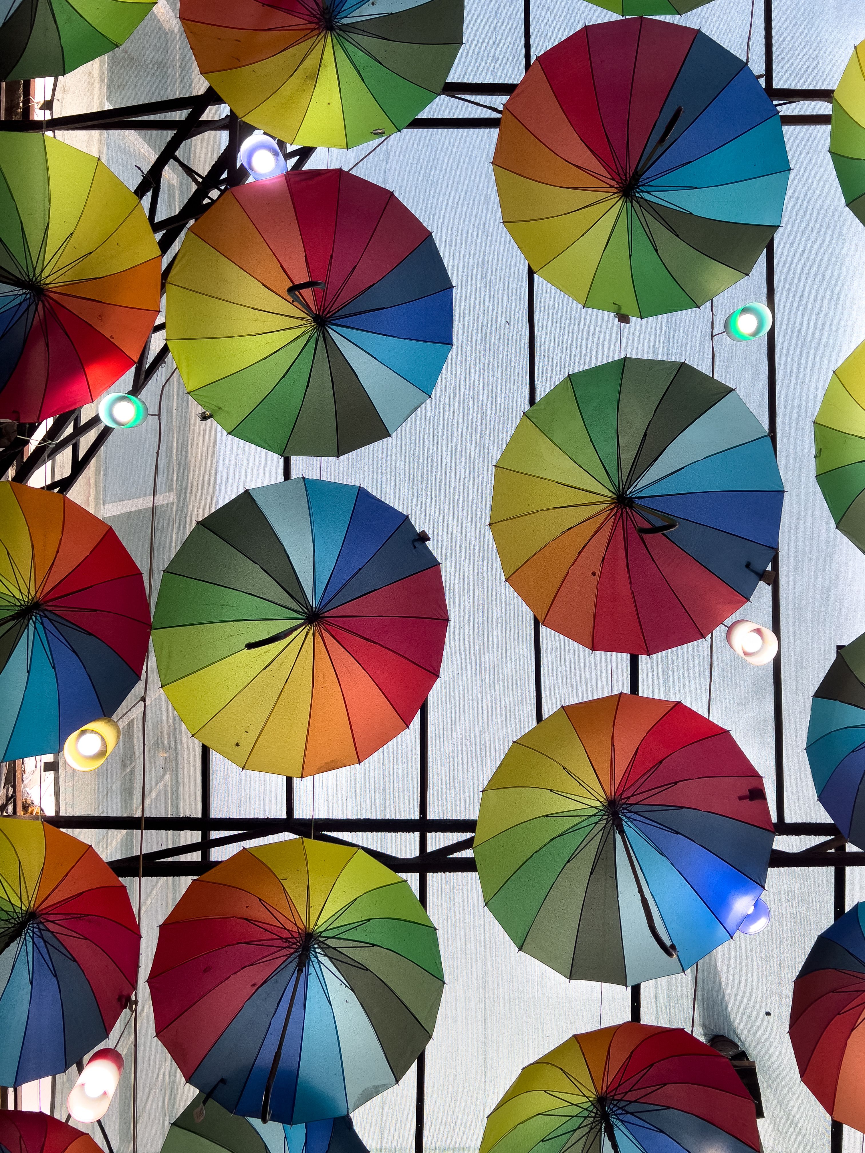 Hanging Umbrellas over the Street · Free Stock Photo