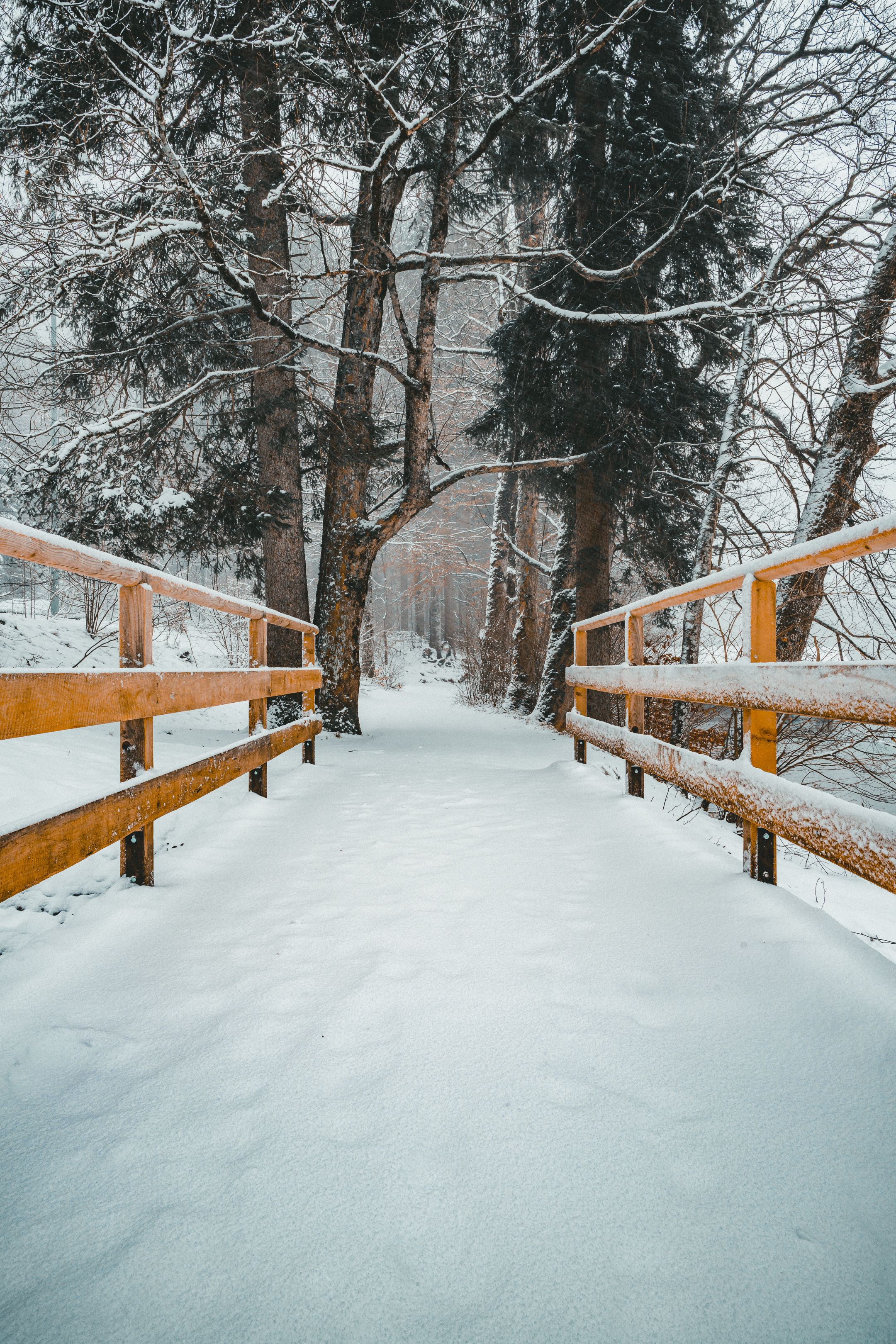 Dreary Winter Photos, Download The BEST Free Dreary Winter Stock Photos ...