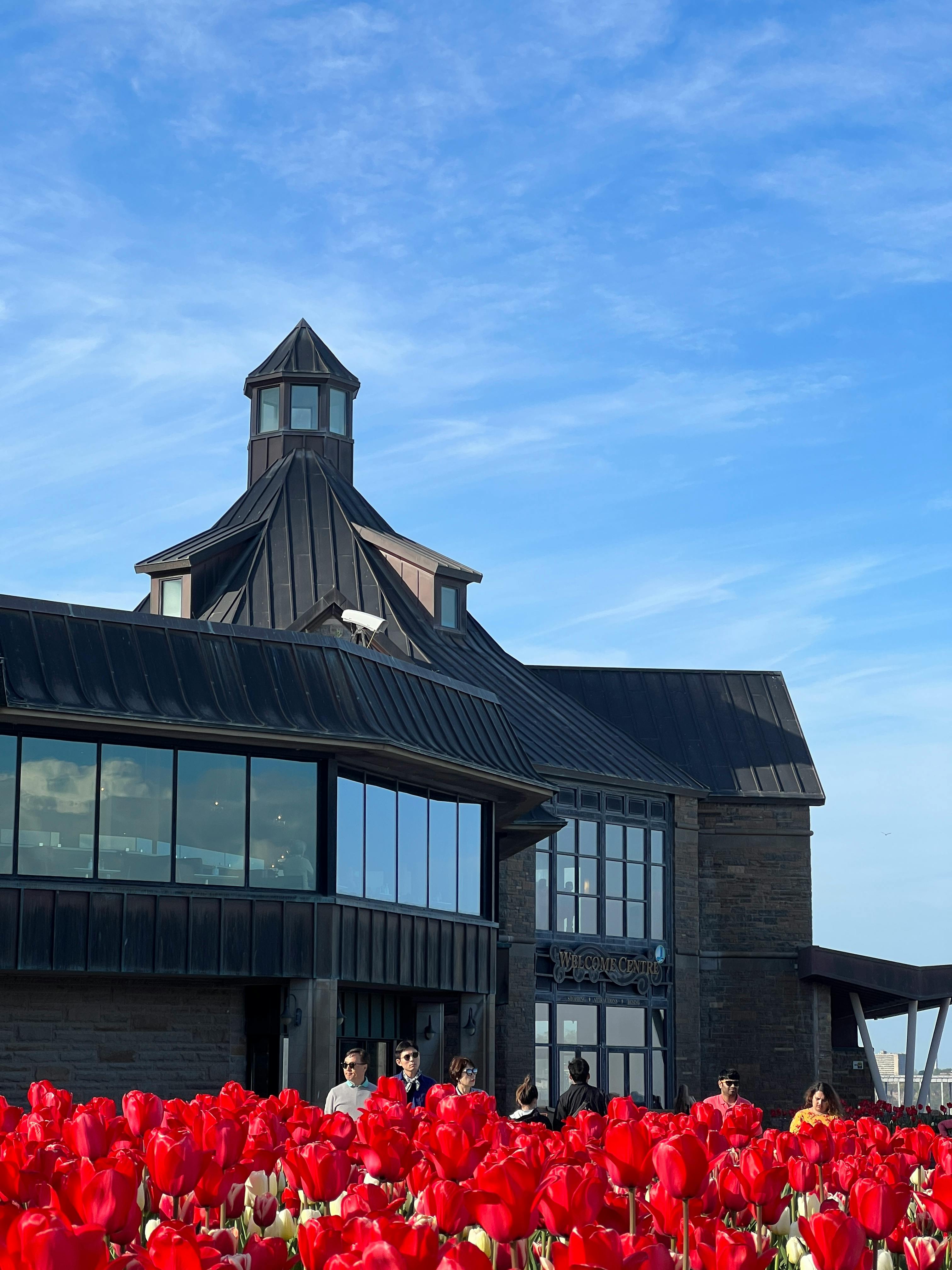 Complexity Photos, Download The BEST Free Complexity Stock Photos & HD ...