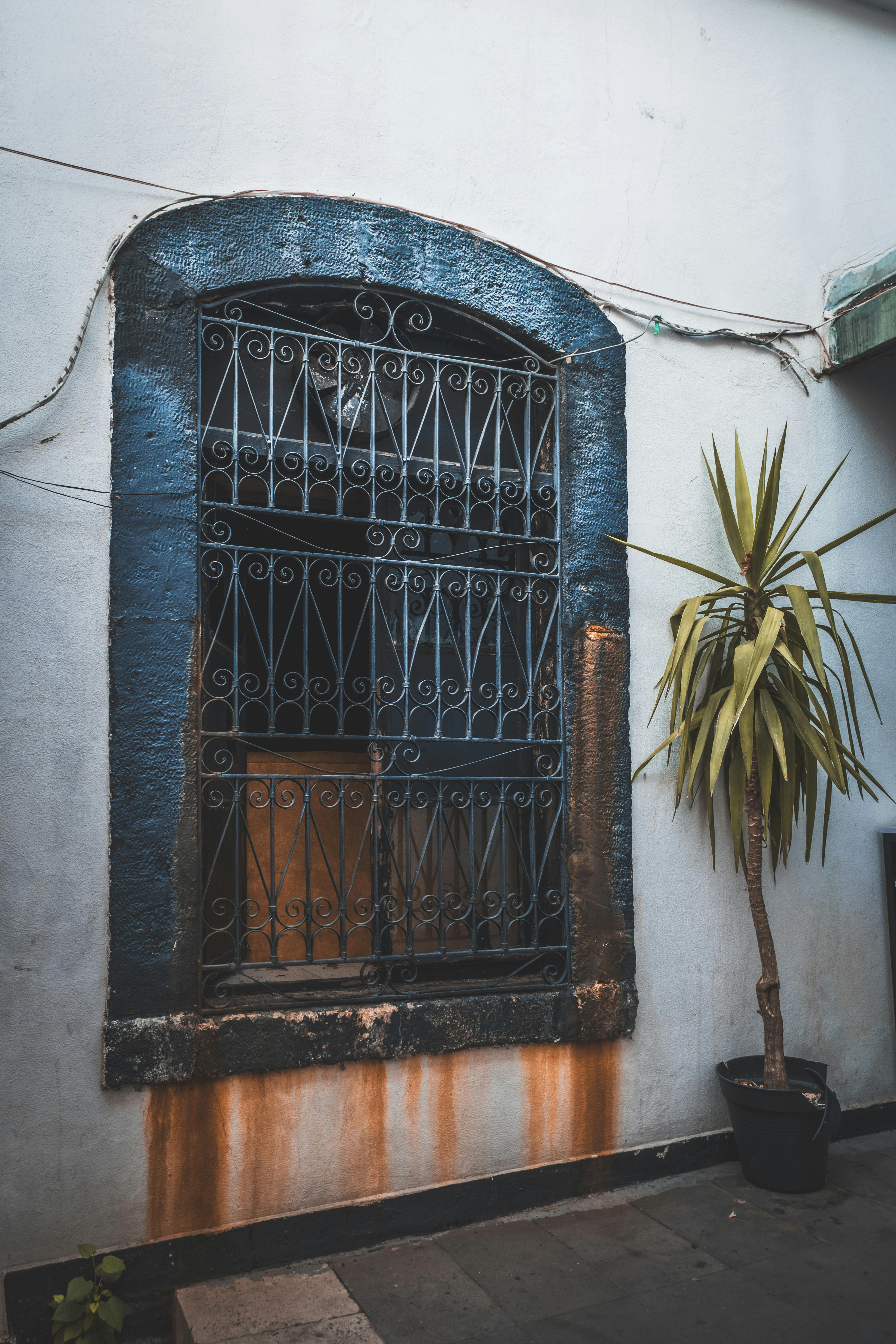 Tinggi Bars Photos, Download The BEST Free Tinggi Bars Stock Photos ...