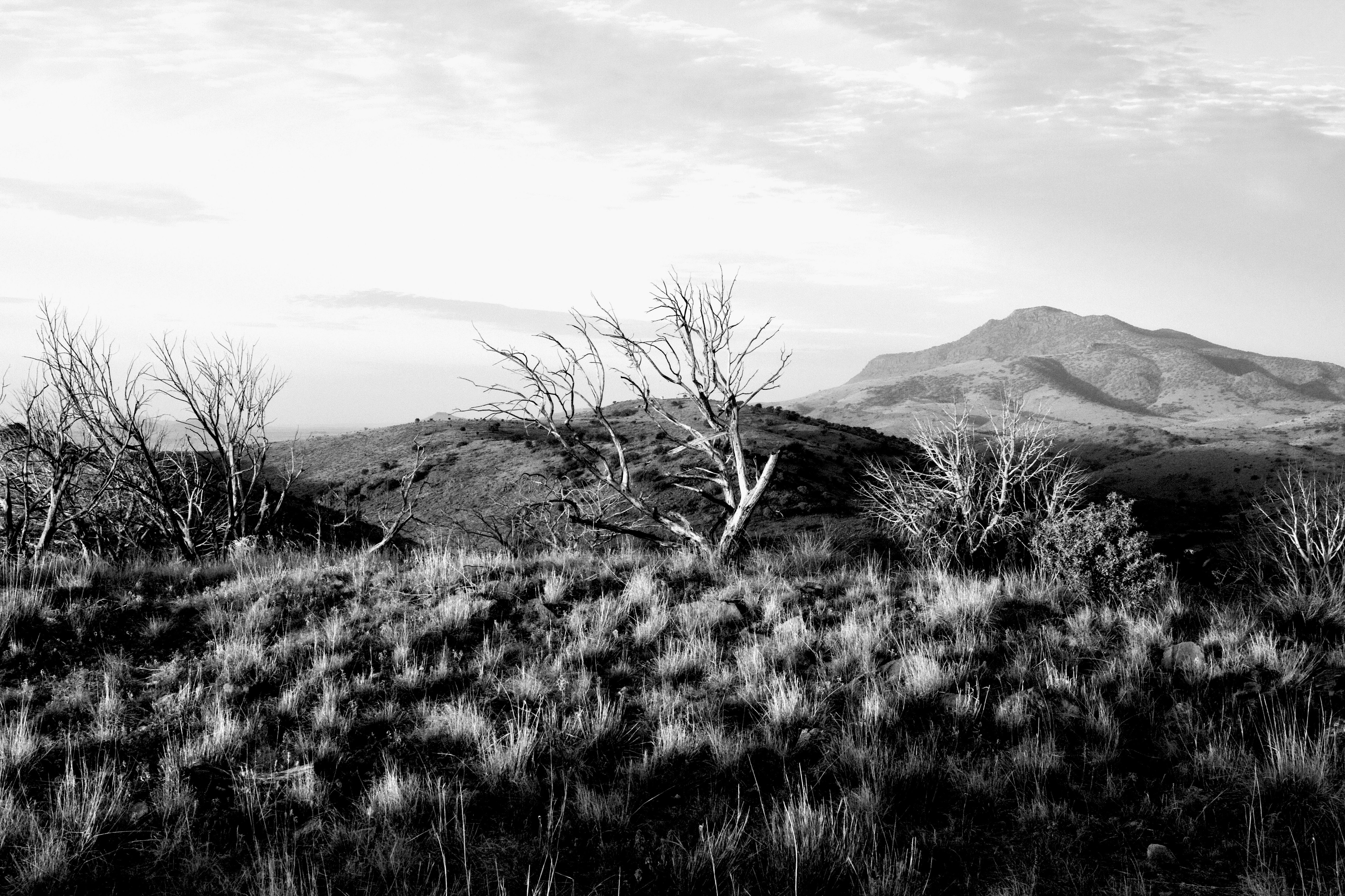 Grayscale Photo of Grassland Near a Mountain · Free Stock Photo