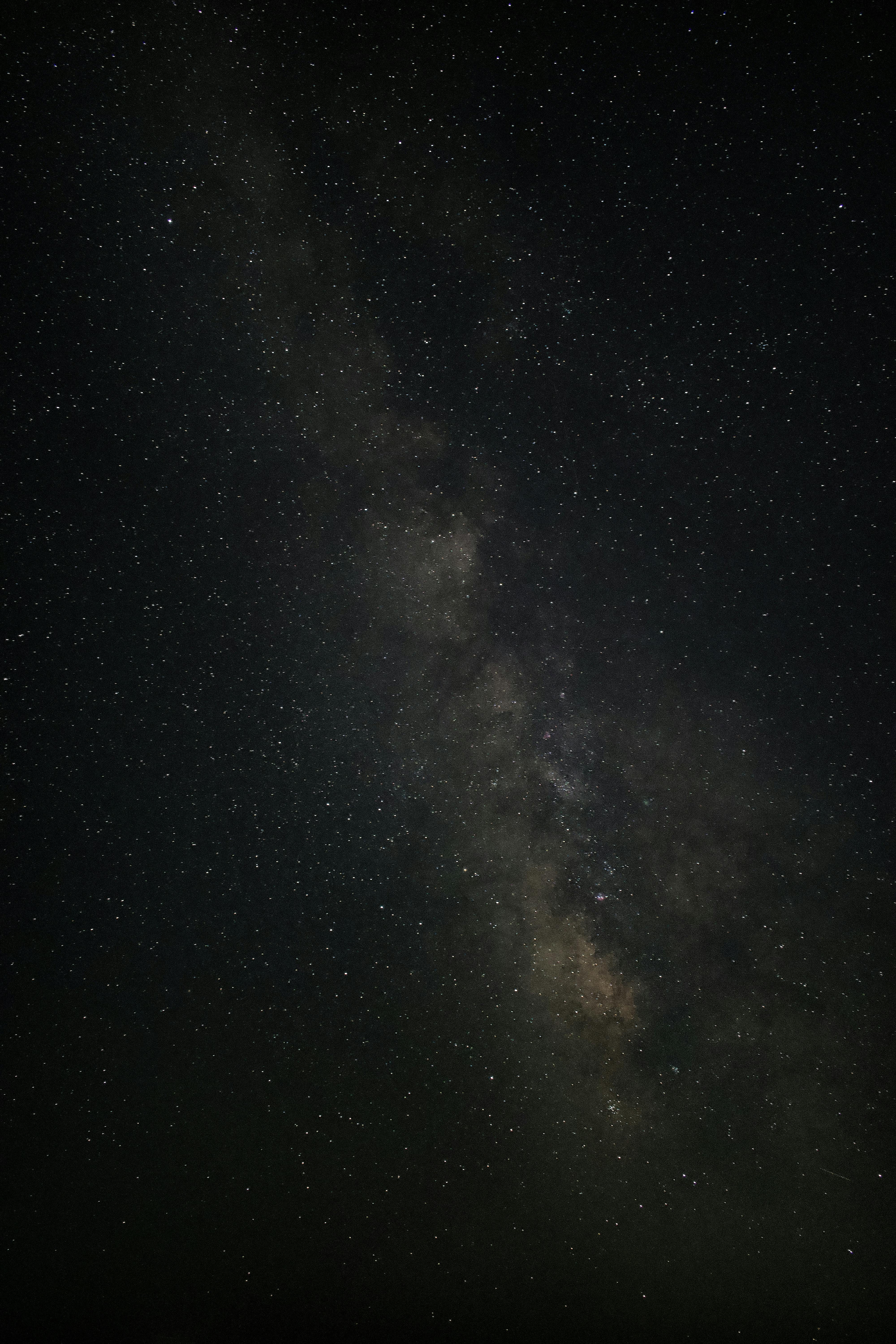 Stars in the Night Sky · Free Stock Photo