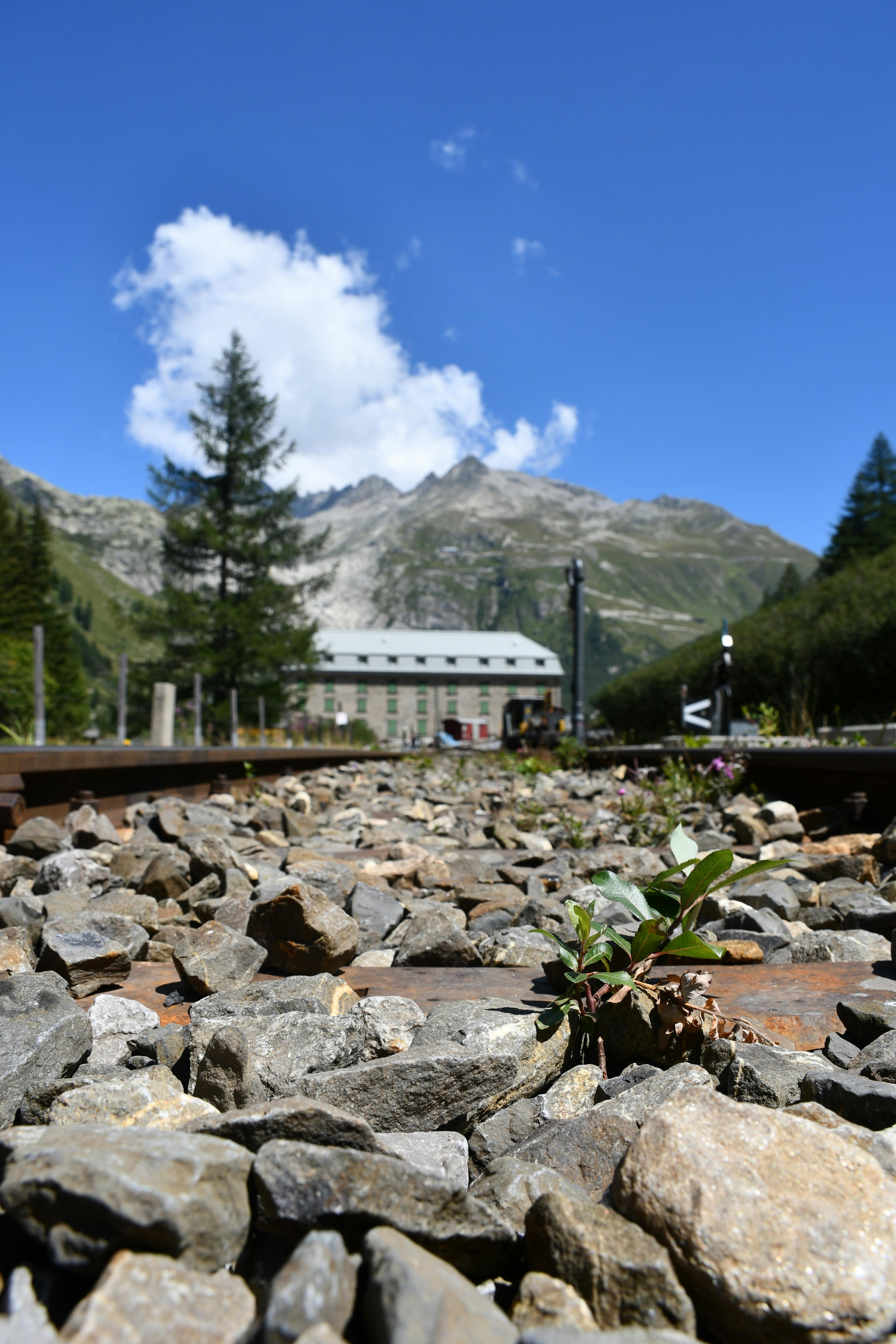 Schweiz 36 Photos & Videos Collected by Laurin Berli