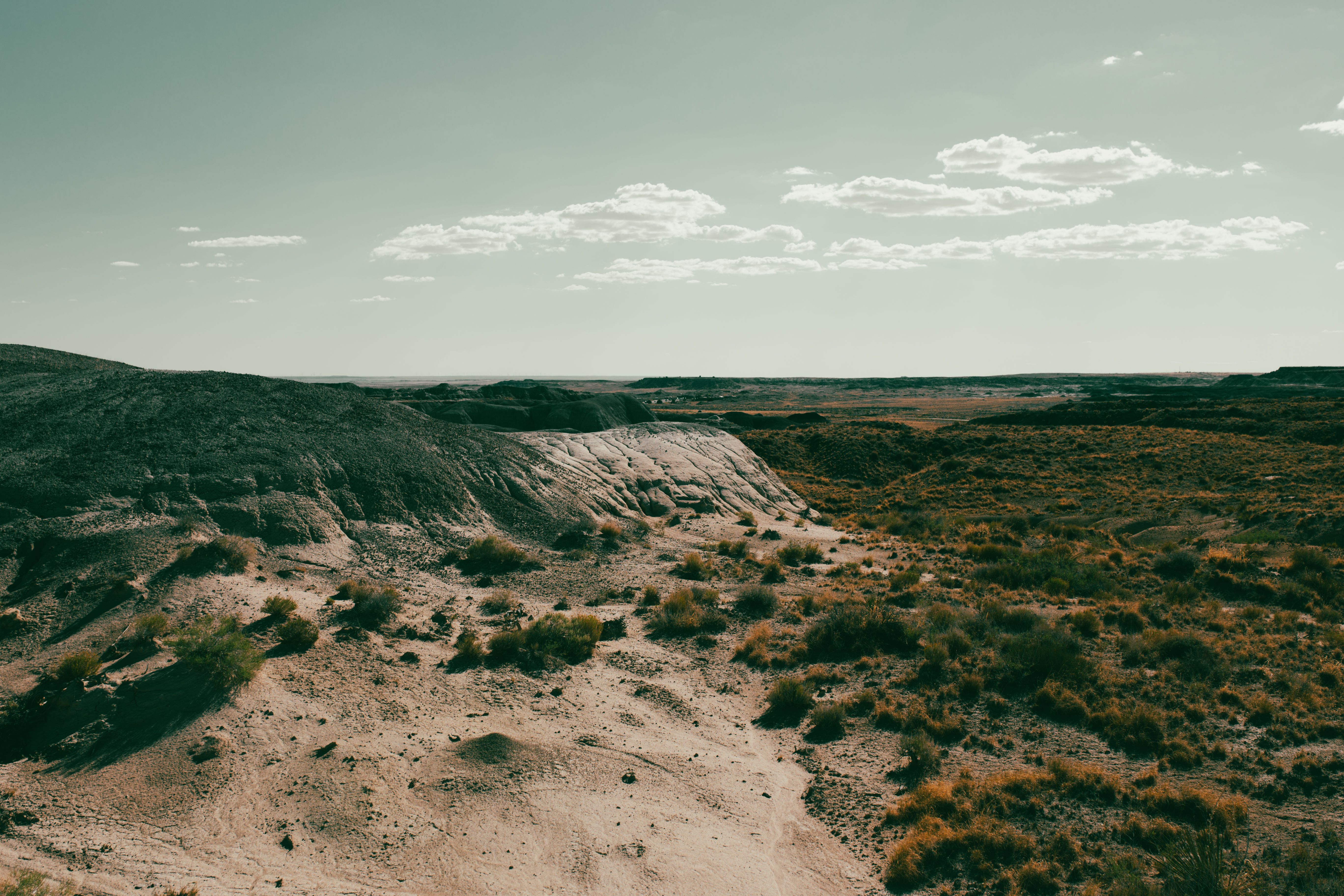 Plain Baground Photos, Download The BEST Free Plain Baground Stock ...