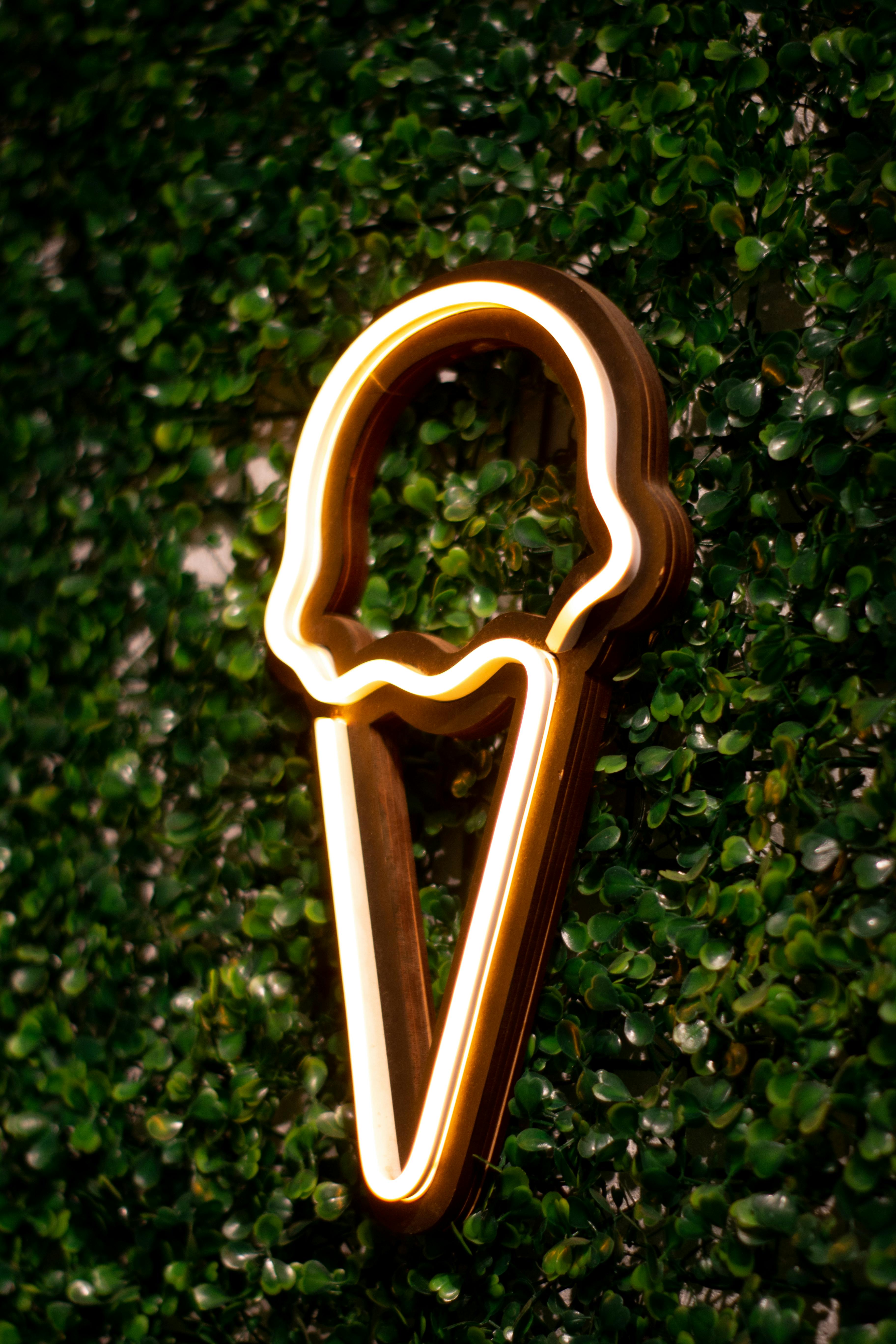 Frozen Custard Led Signage · Free Stock Photo