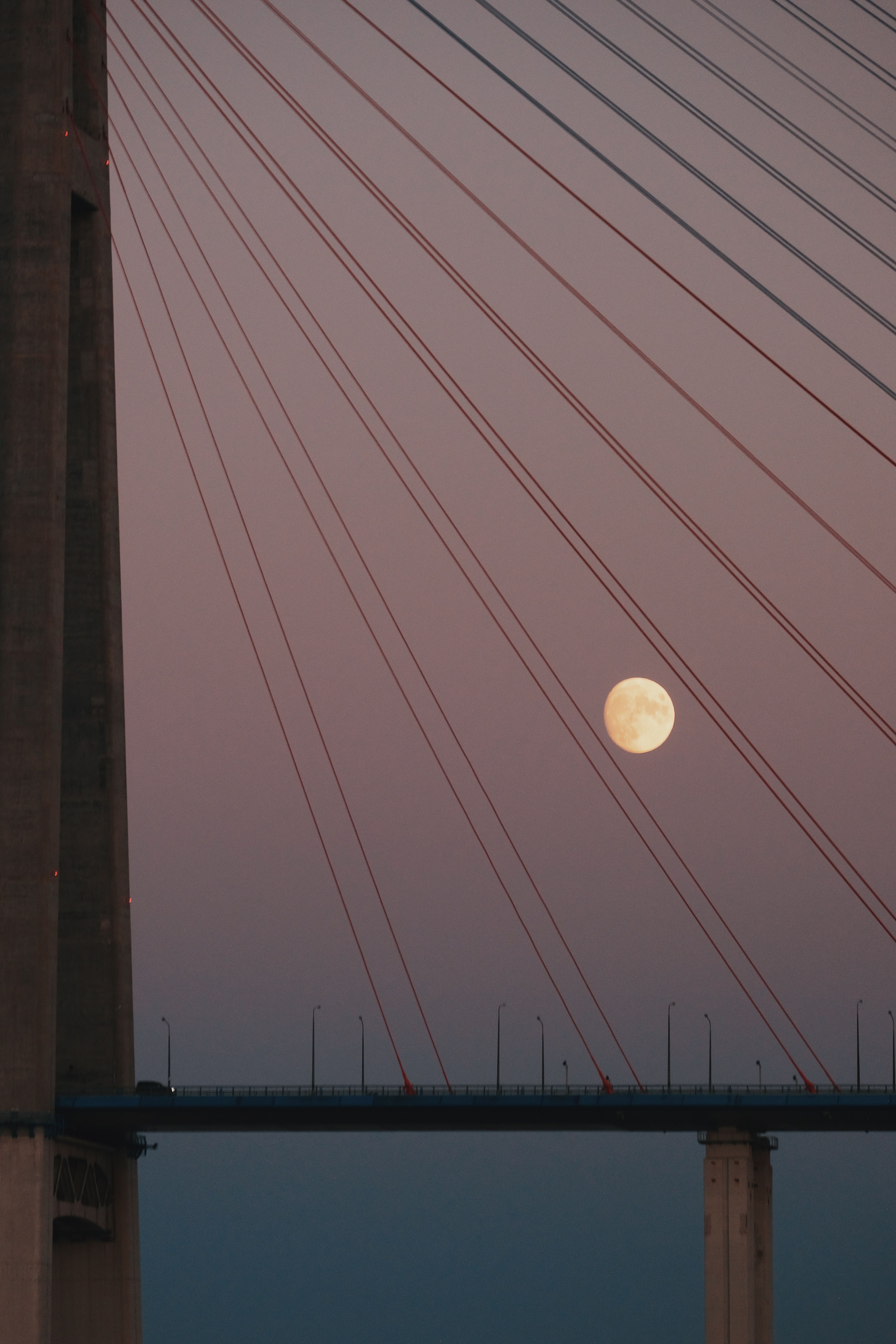 Facebook Moon Photos, Download The BEST Free Facebook Moon Stock Photos ...