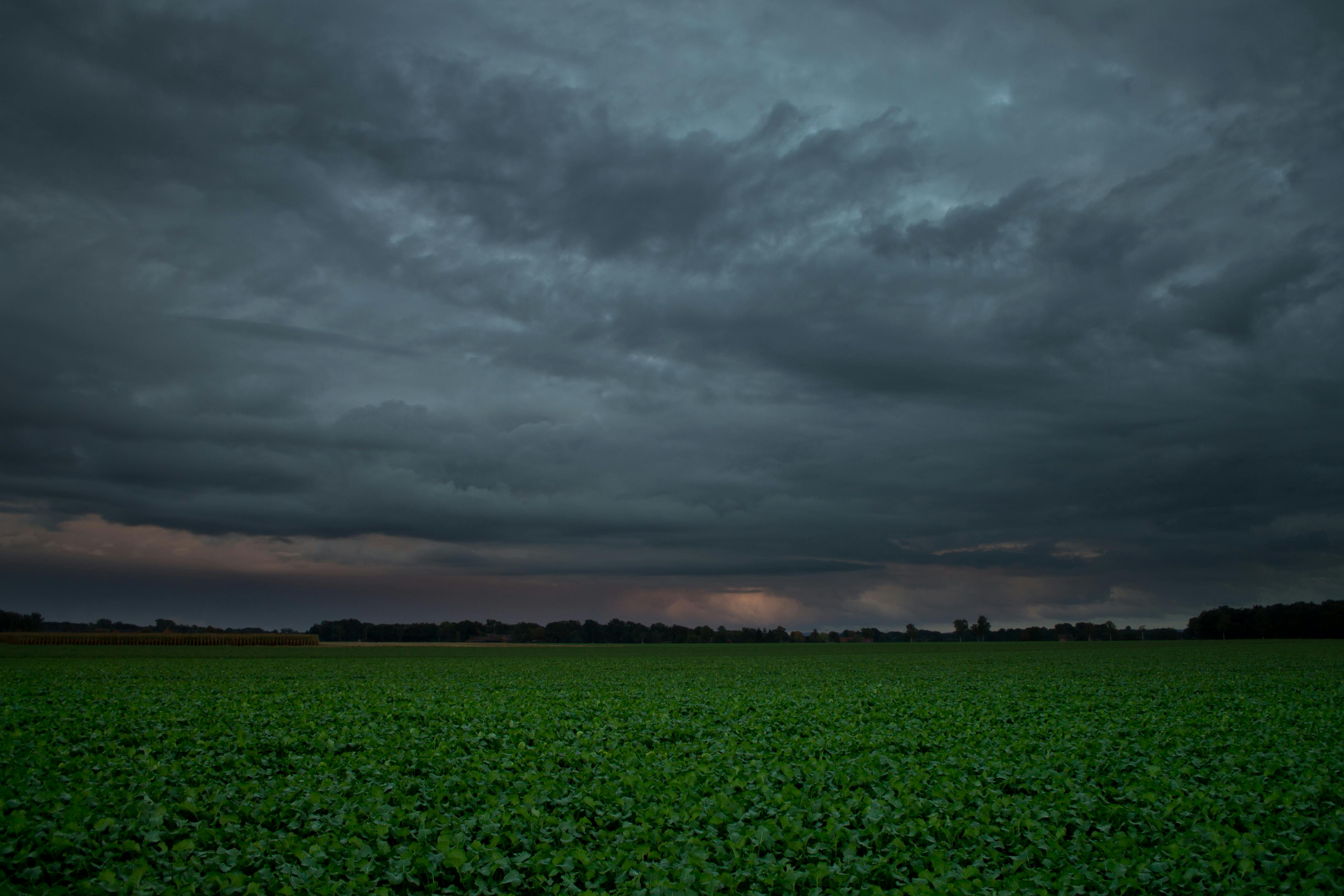 David Floyd - Photography