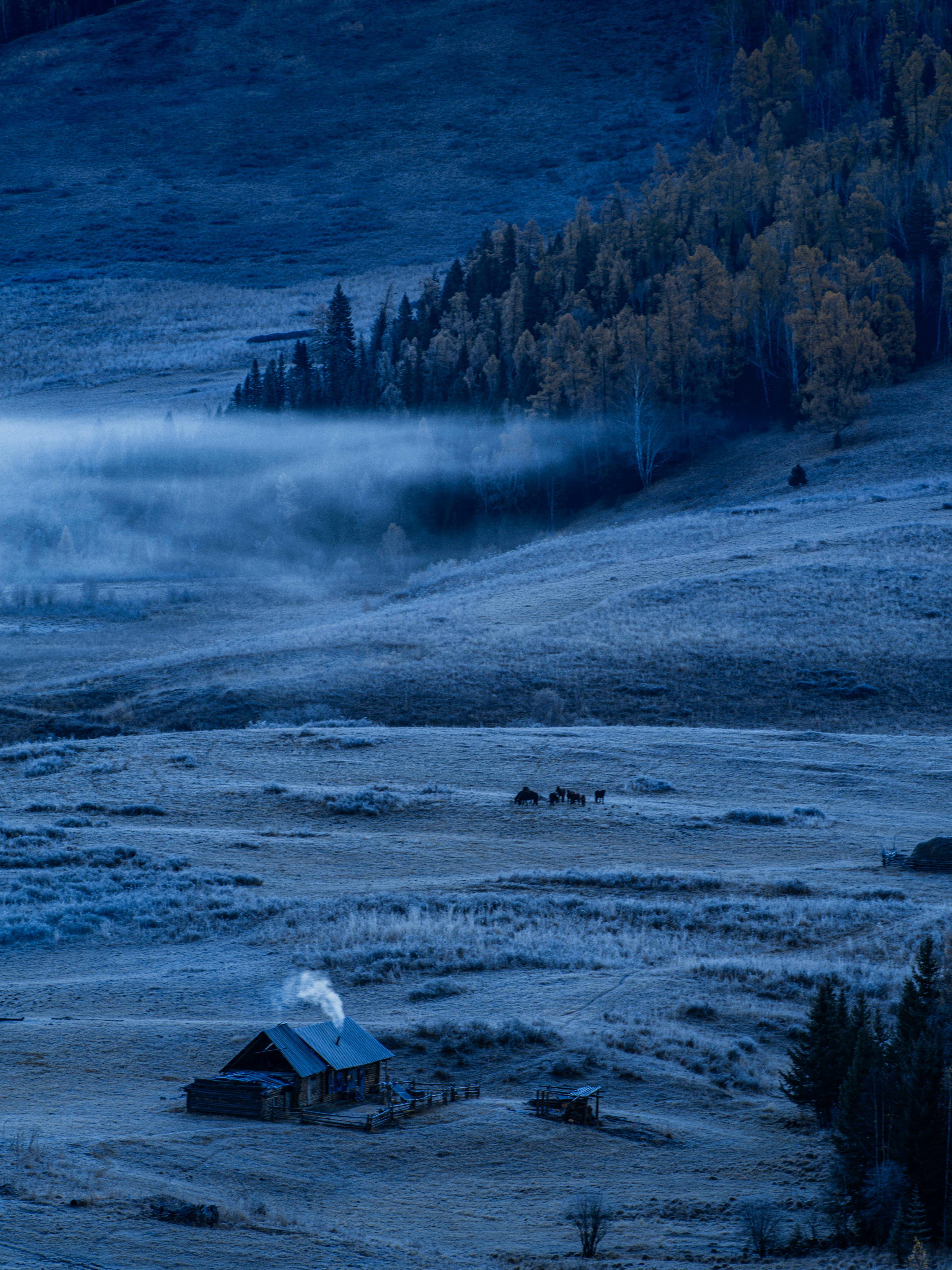A House in a Field at Dawn · Free Stock Photo