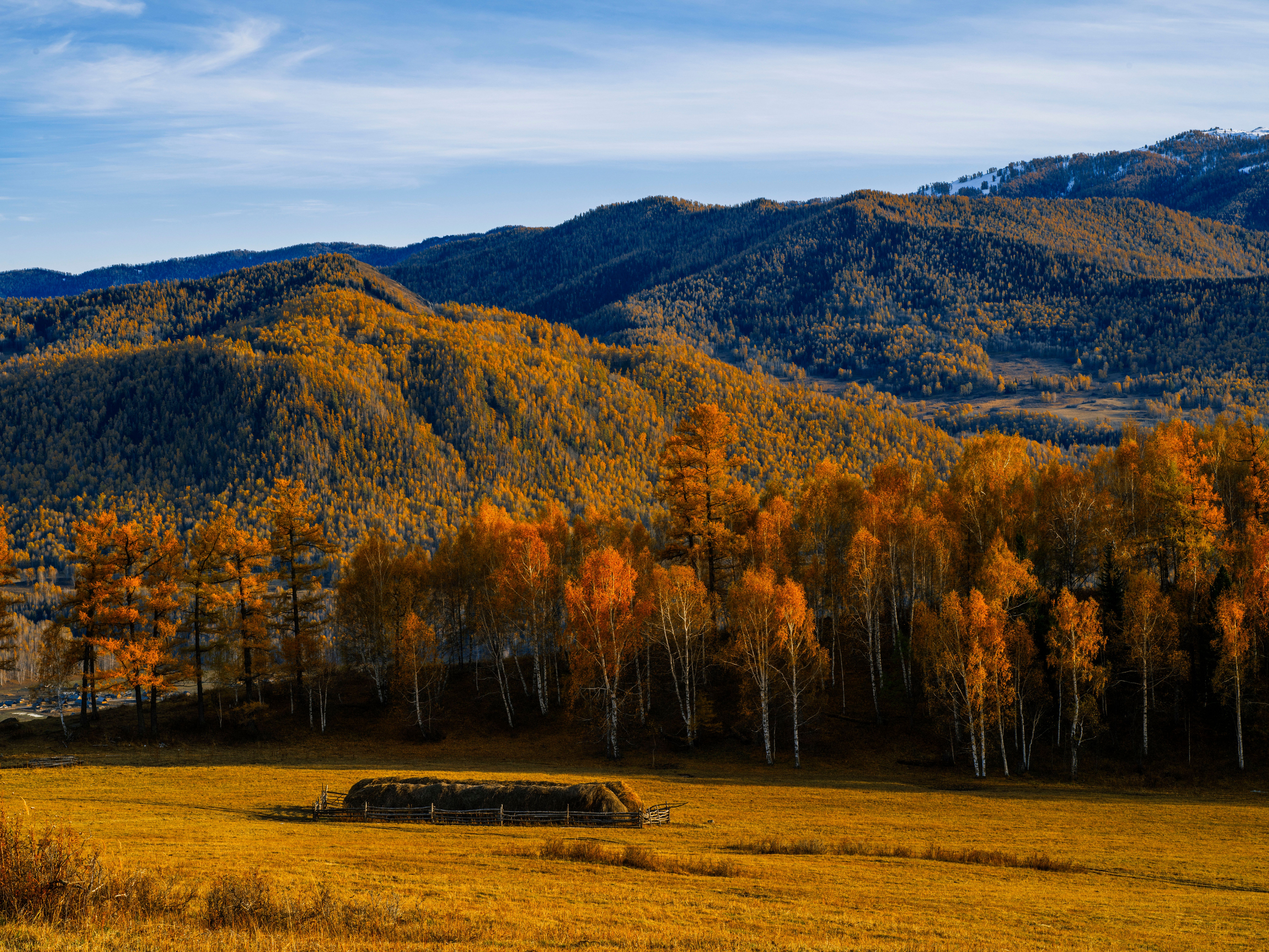 Aerial Photography of Autumn Trees near Mountains · Free Stock Photo