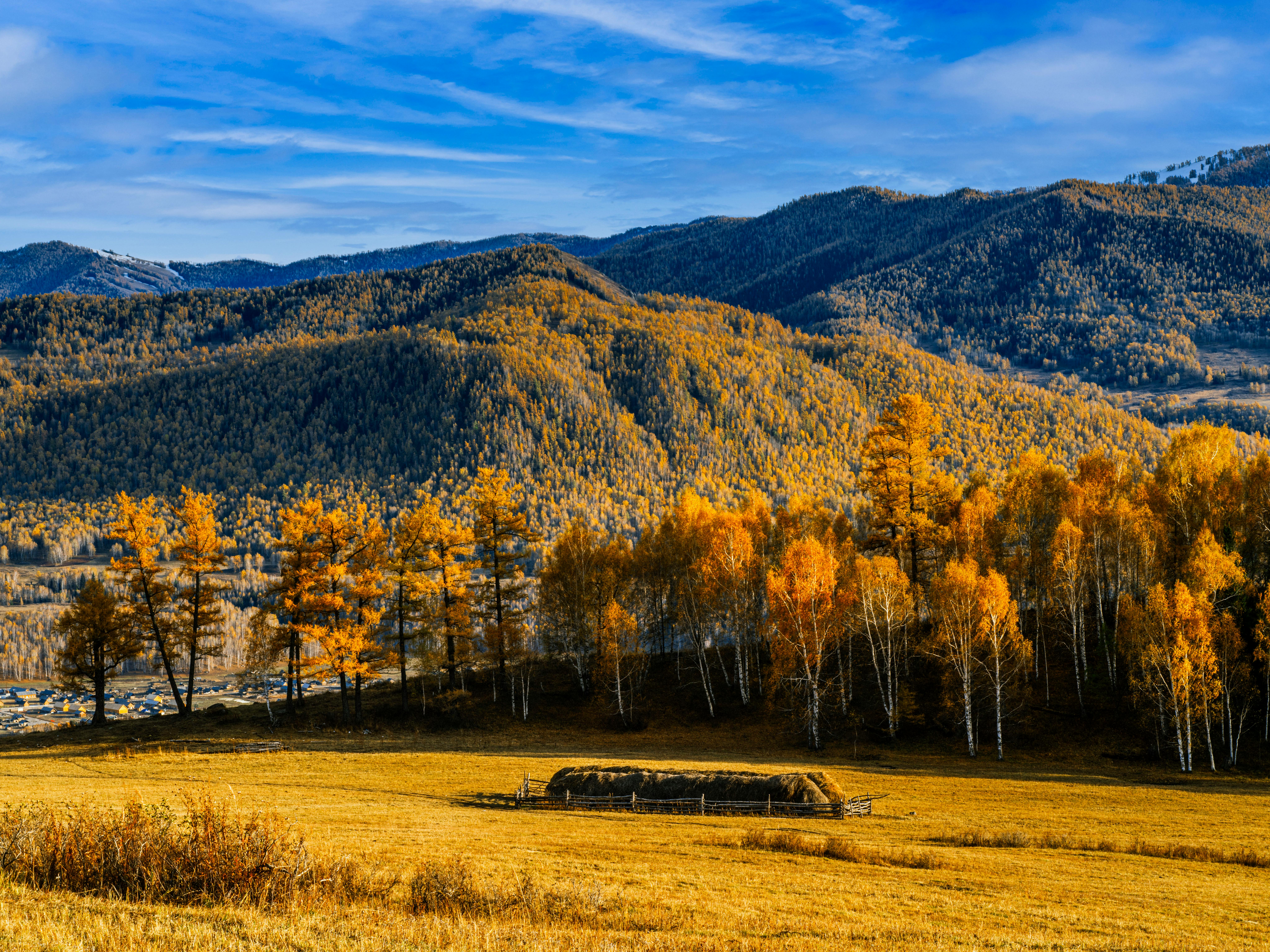 Trees on Mountainside Under Blue Sky · Free Stock Photo