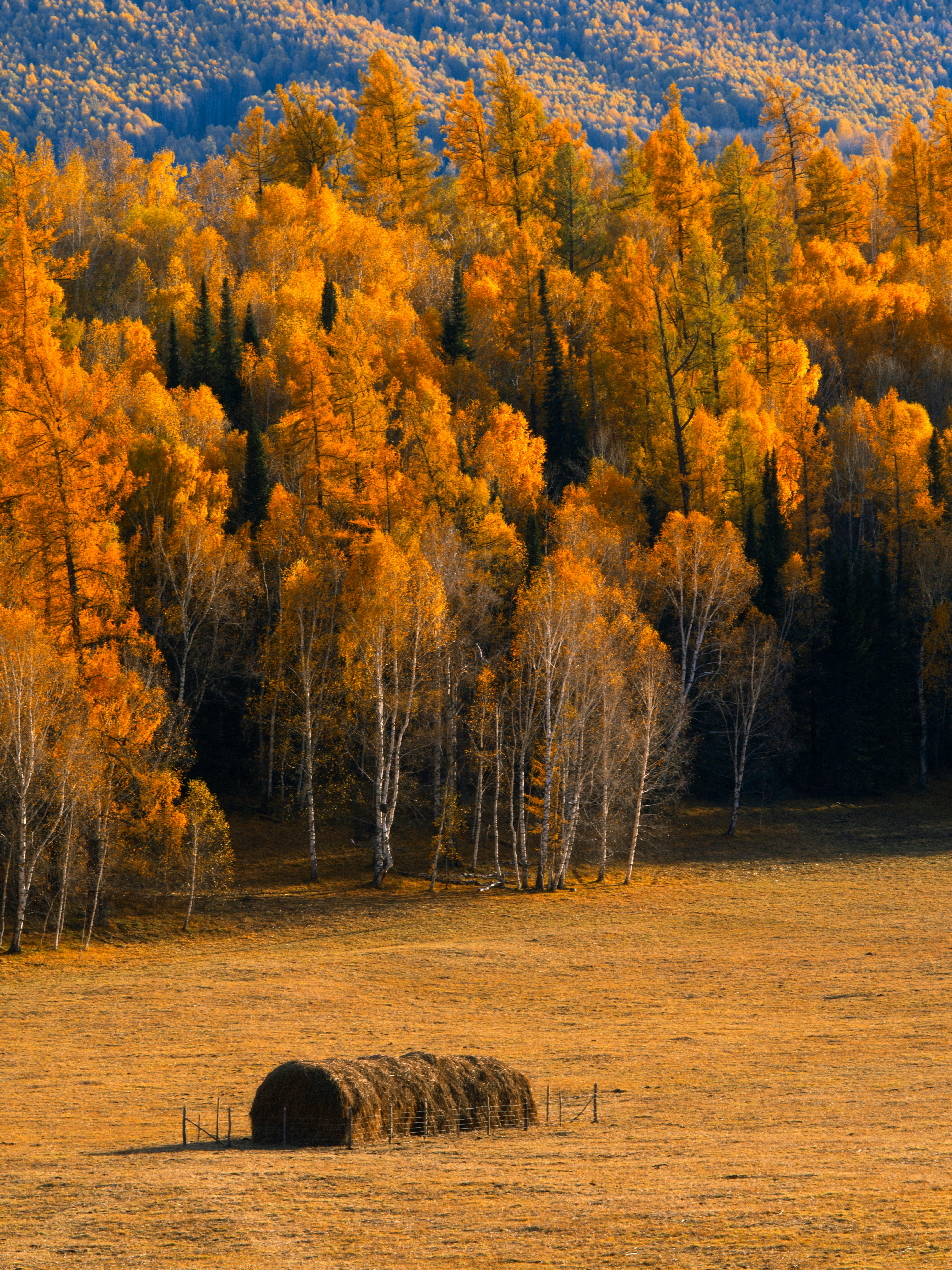 Haystack on Grassland · Free Stock Photo