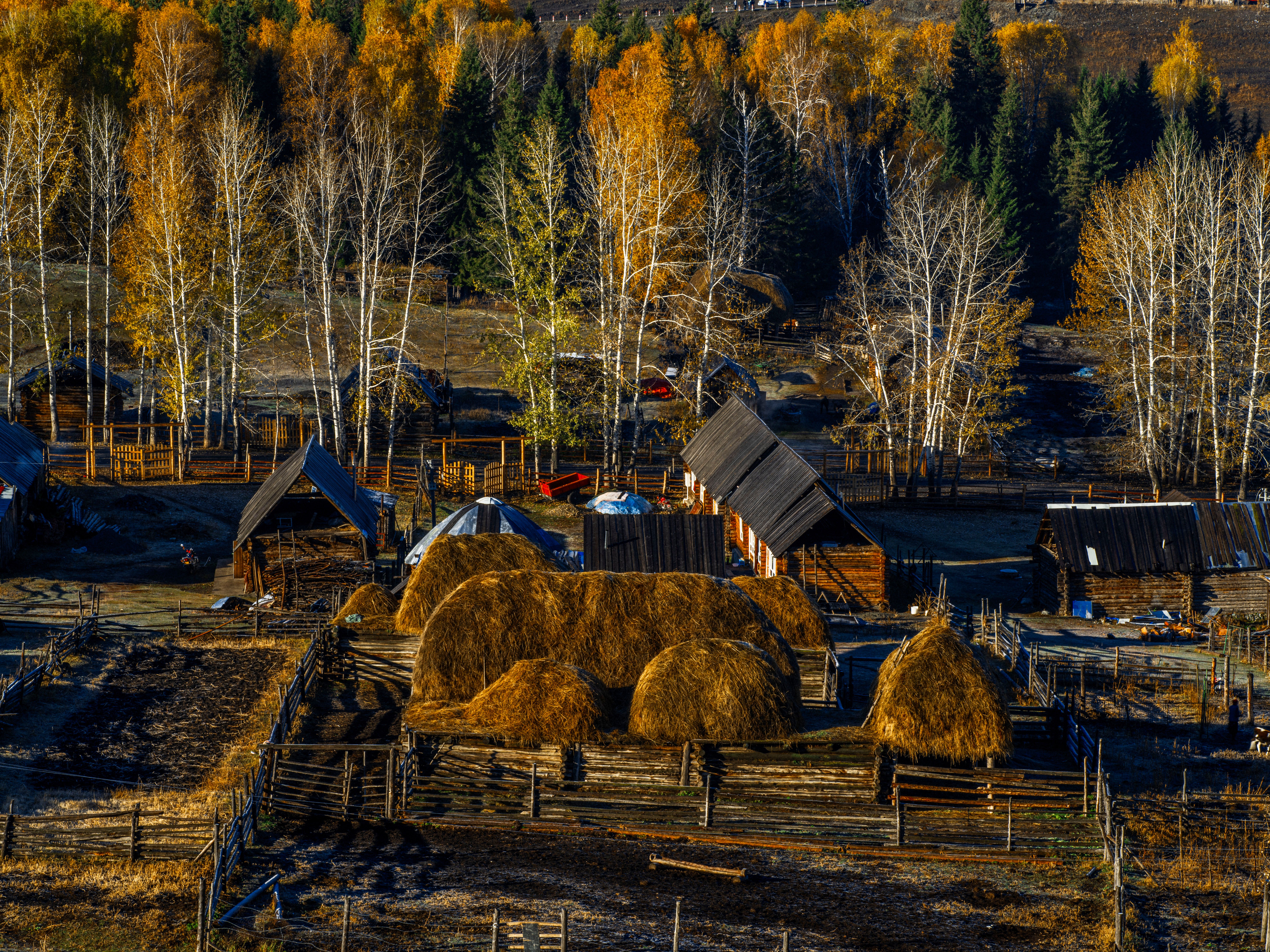 High Angle View of a Village and Forest · Free Stock Photo
